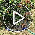 Amazon.com: ZZM 360°Tree Water System Tree Watering Ring Circle ...