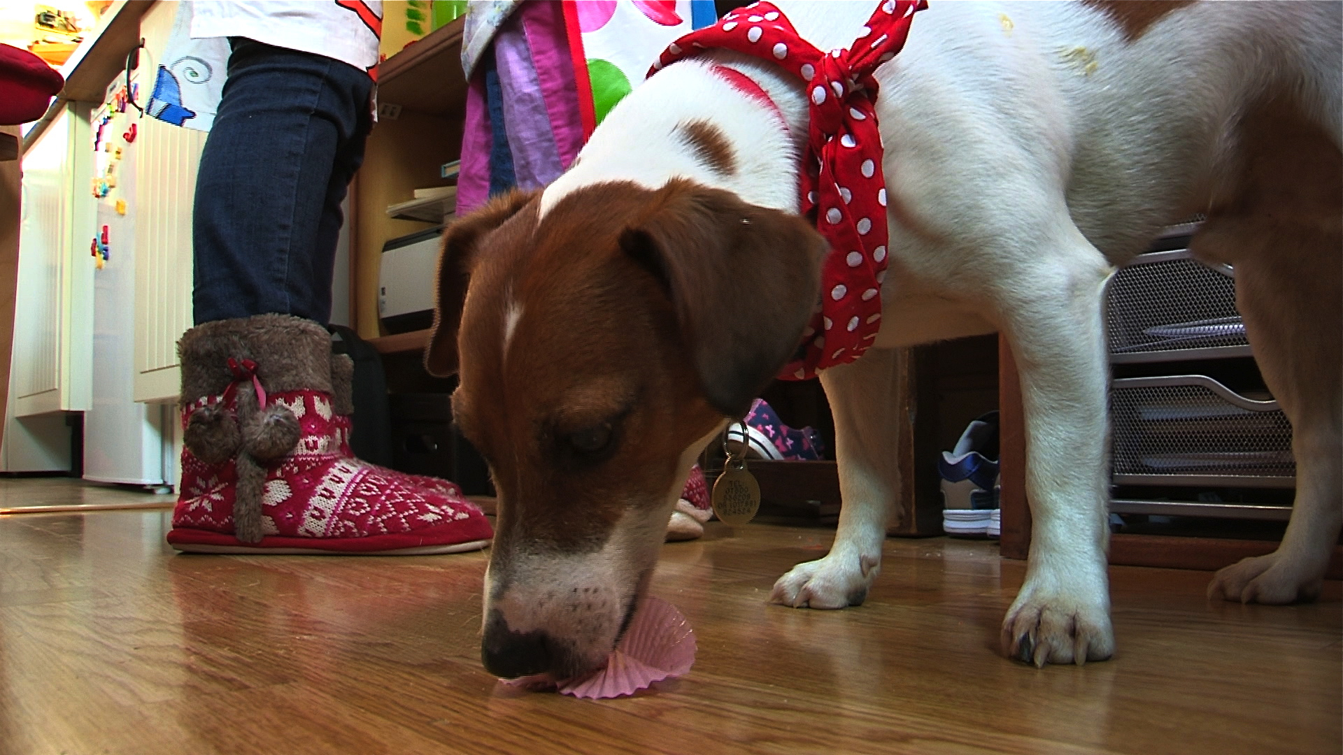 Chico Chugg picture mix up:Amazon.de:Appstore for Android