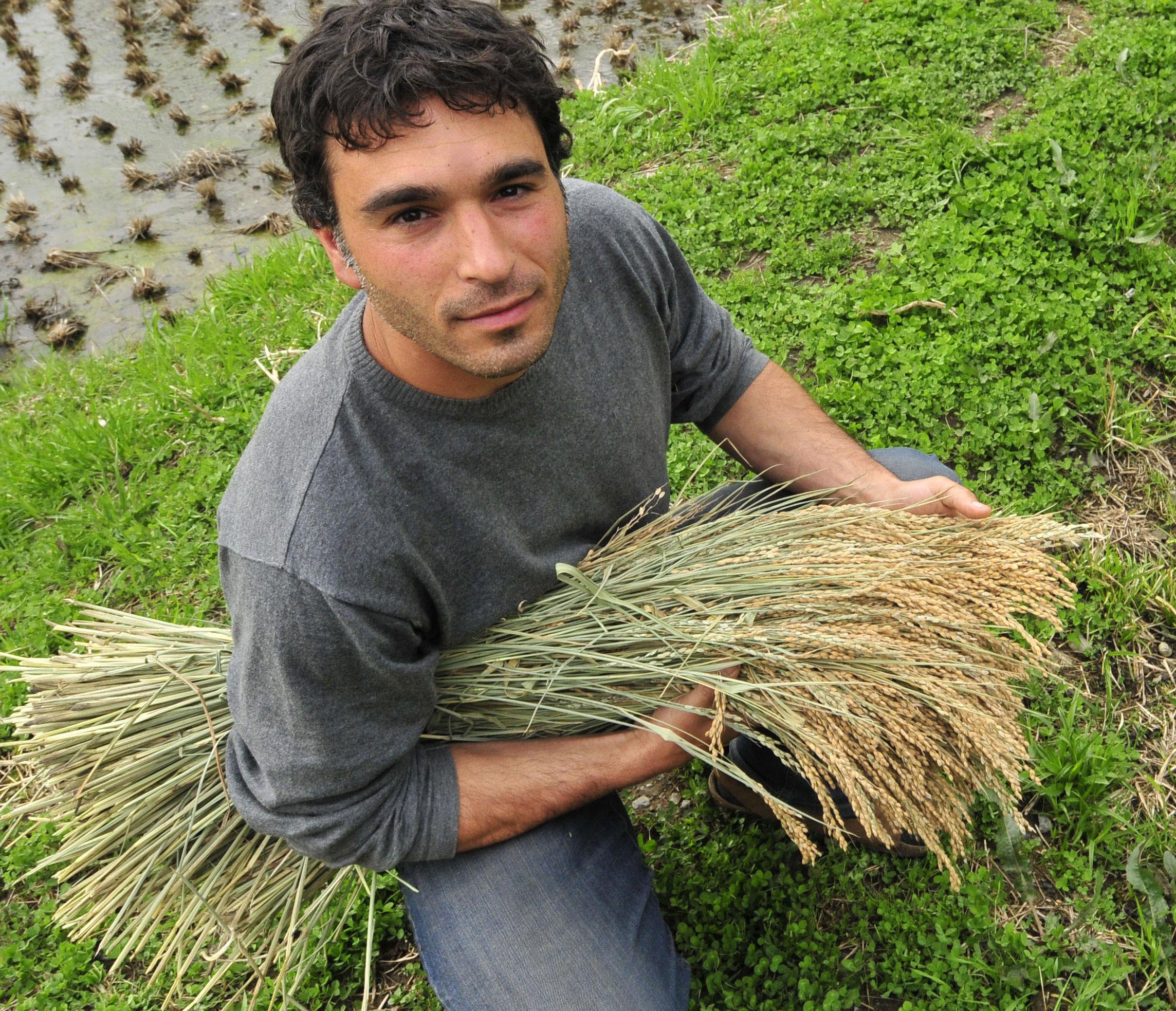 Amazon.com: Ben Falk: books, biography, latest update