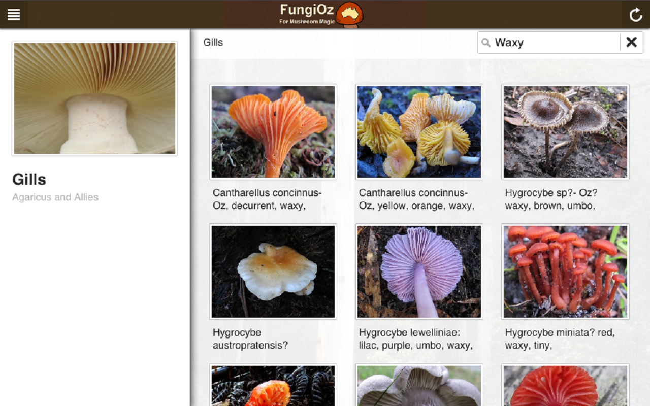 FungiOz - All things Mushroom - App on Amazon Appstore