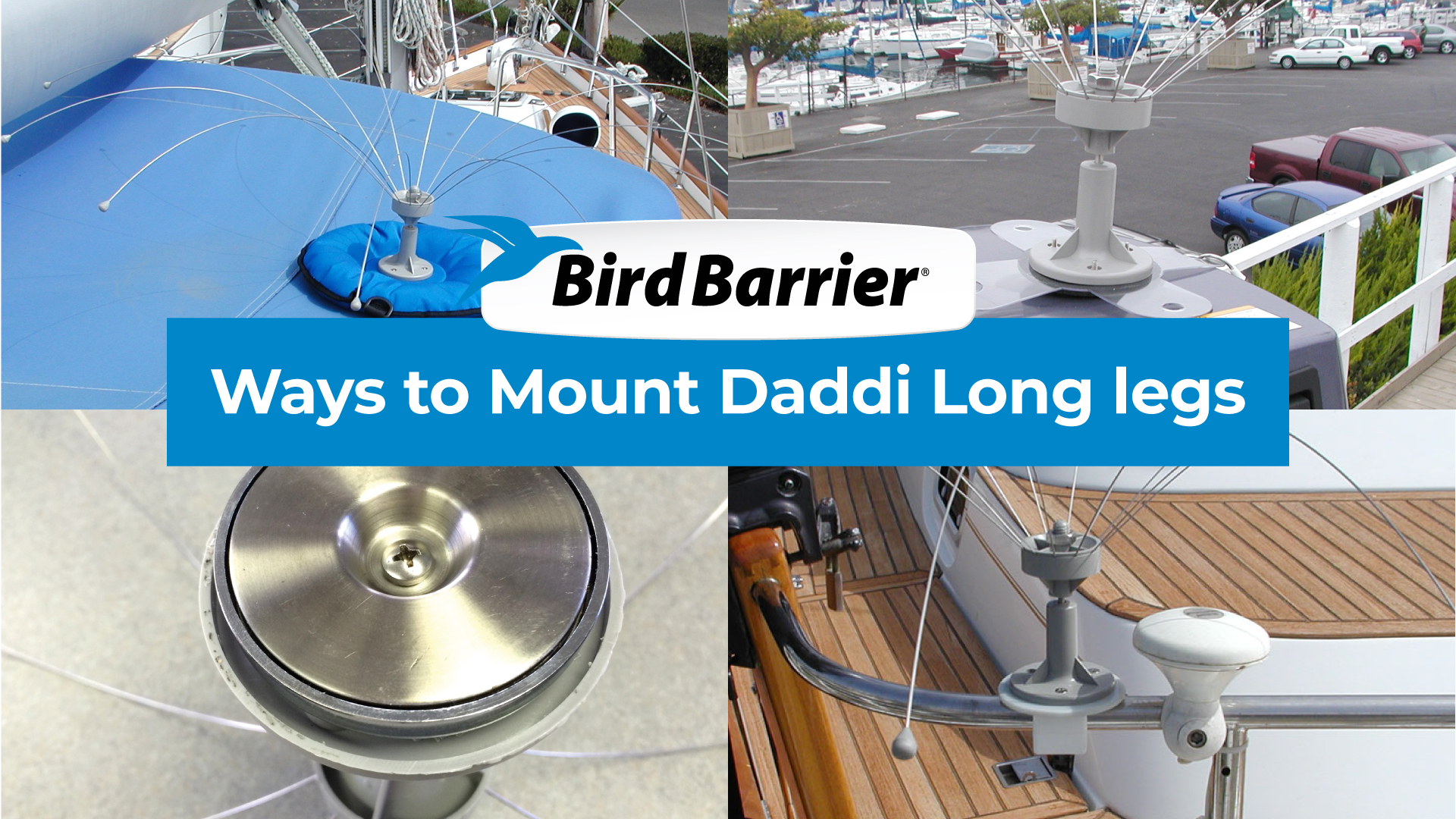 Watch Optional Mounting Brackets for Daddi Long Legs on Amazon Live