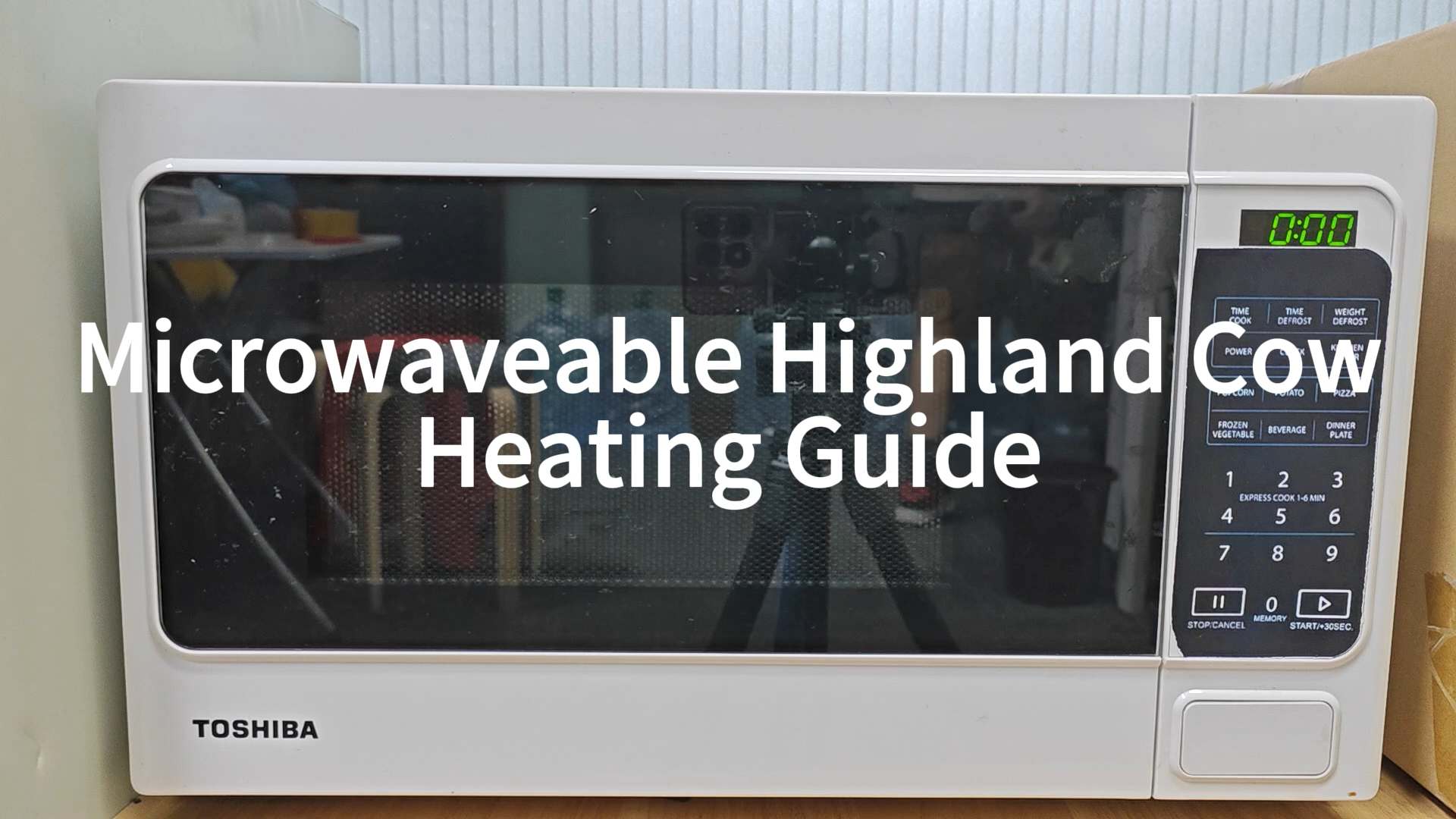 Watch Microwaveable Highland Cow Heating Guide on Amazon Live