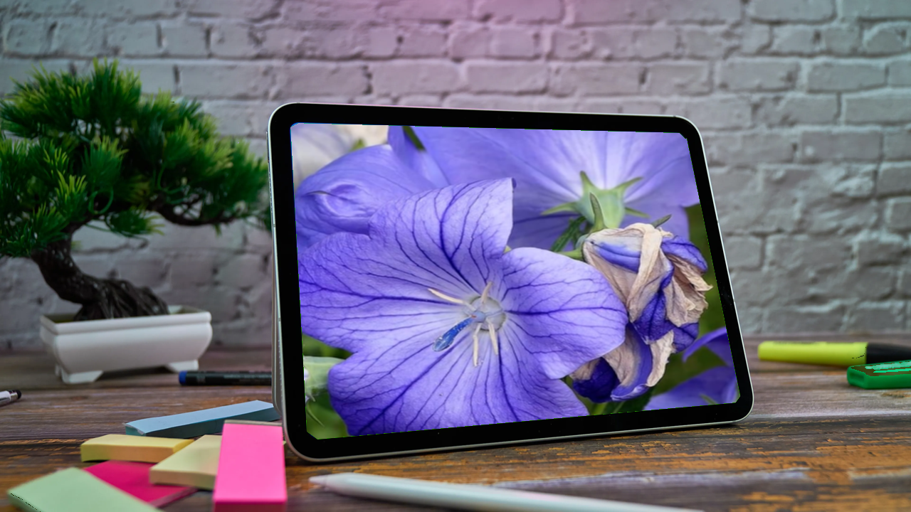 Japanese Garden Japanese Garden Zen 4K – Peaceful Bamboo & Water Sounds ...