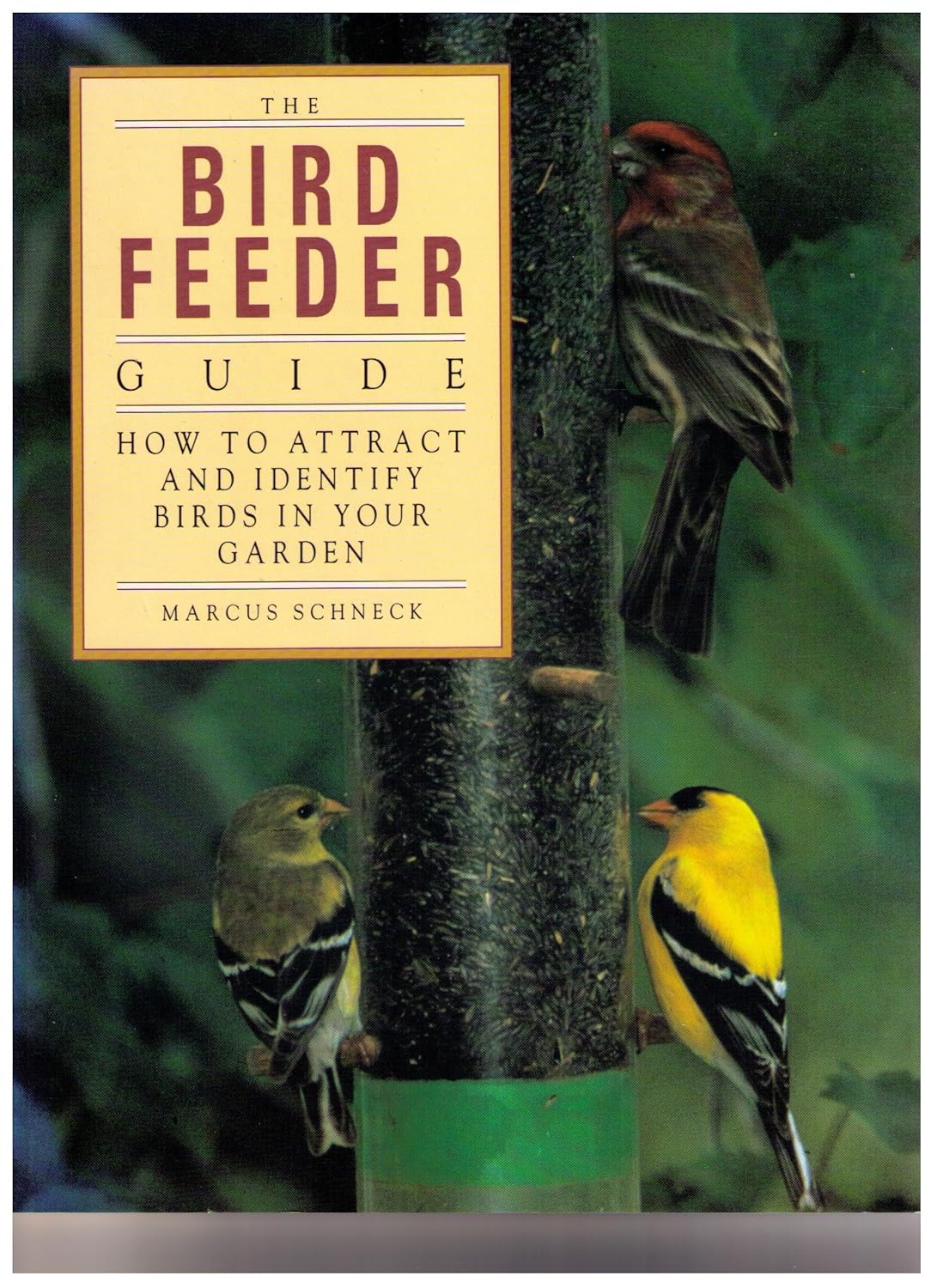 bird-feeder-guide-how-to-attract-and-identify : Schenk, Marcus: Amazon ...