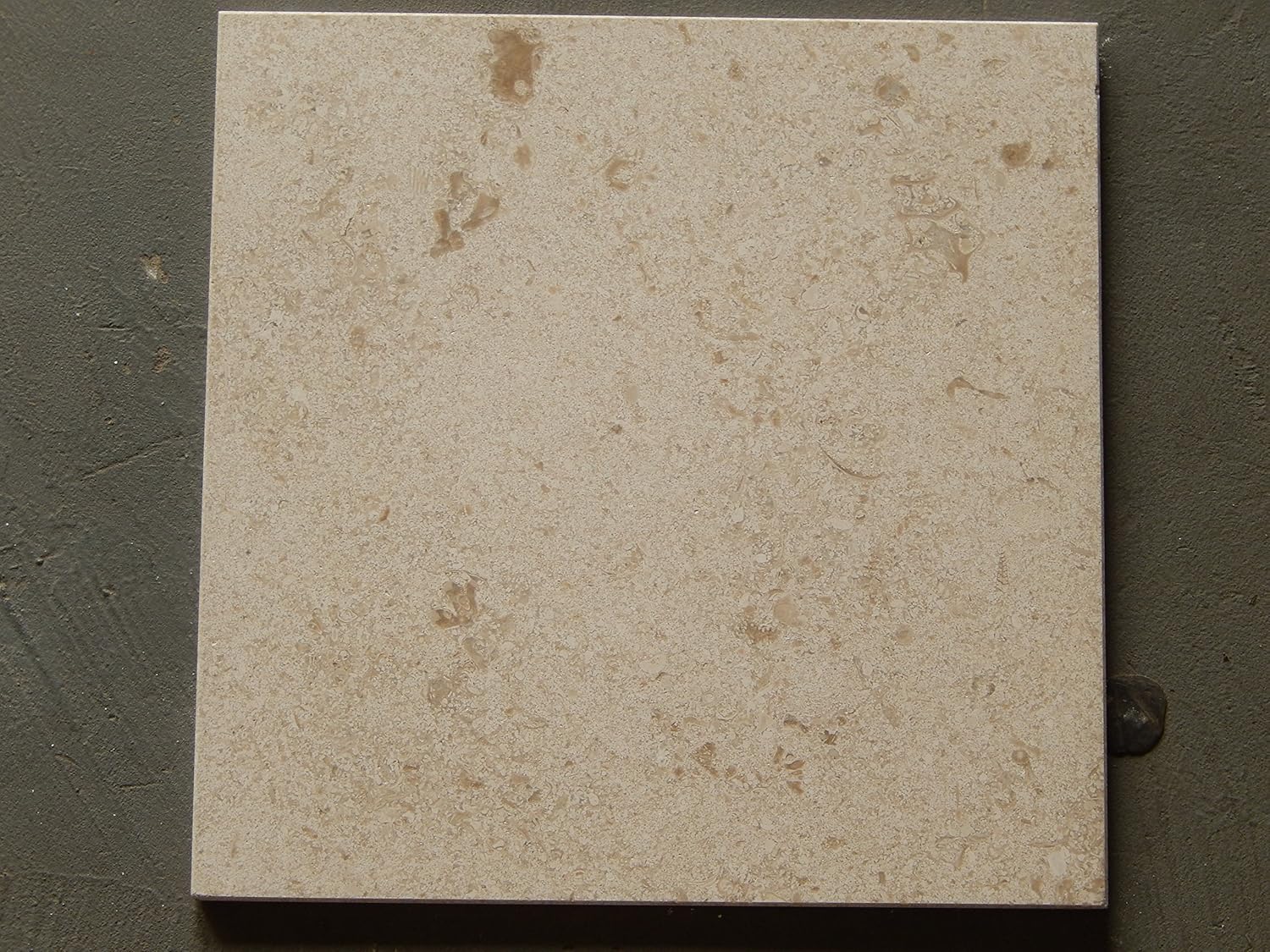 Marbella Beige Marble Tiles - Amazon.com