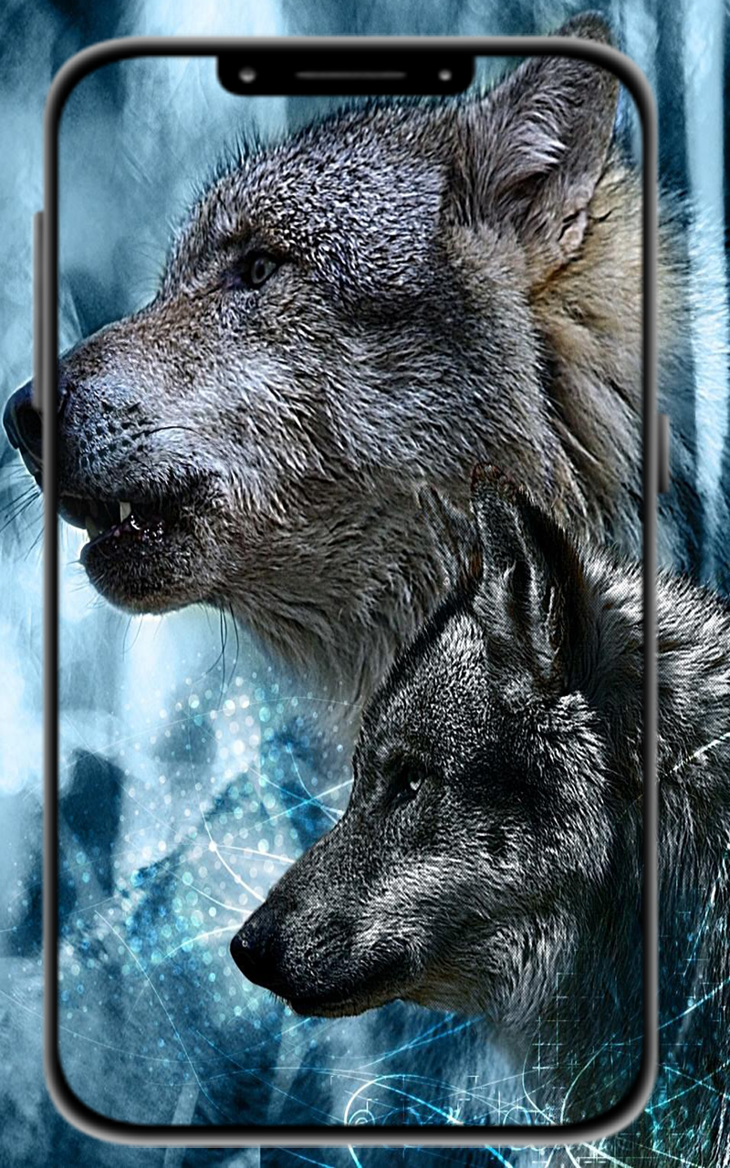 Wolf Phone Wallpaper Wolf Wallpapers Top 68 Best Wolf Wallpapers