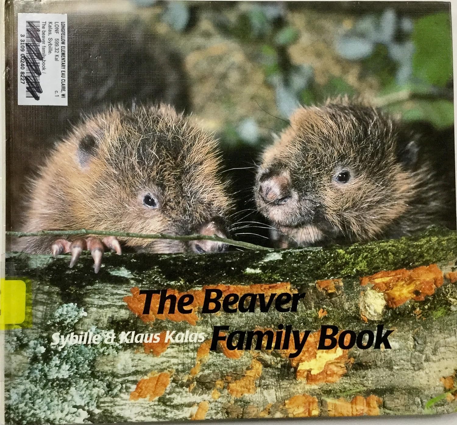 Beaver Family Book: Kalas: 9780887080500: Amazon.com: Books