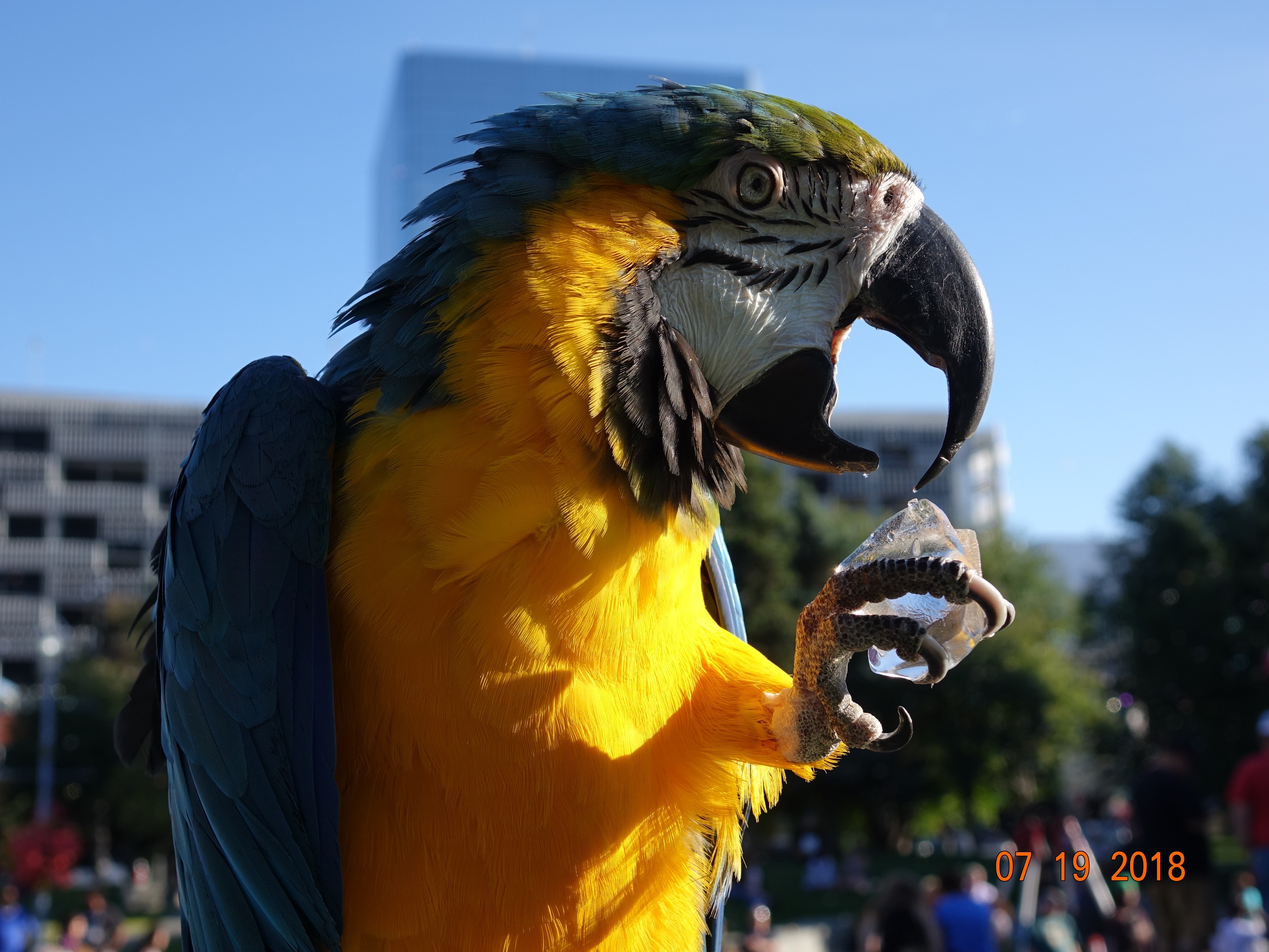 Amazon.co.uk: Richard Herron: books, biography, latest update