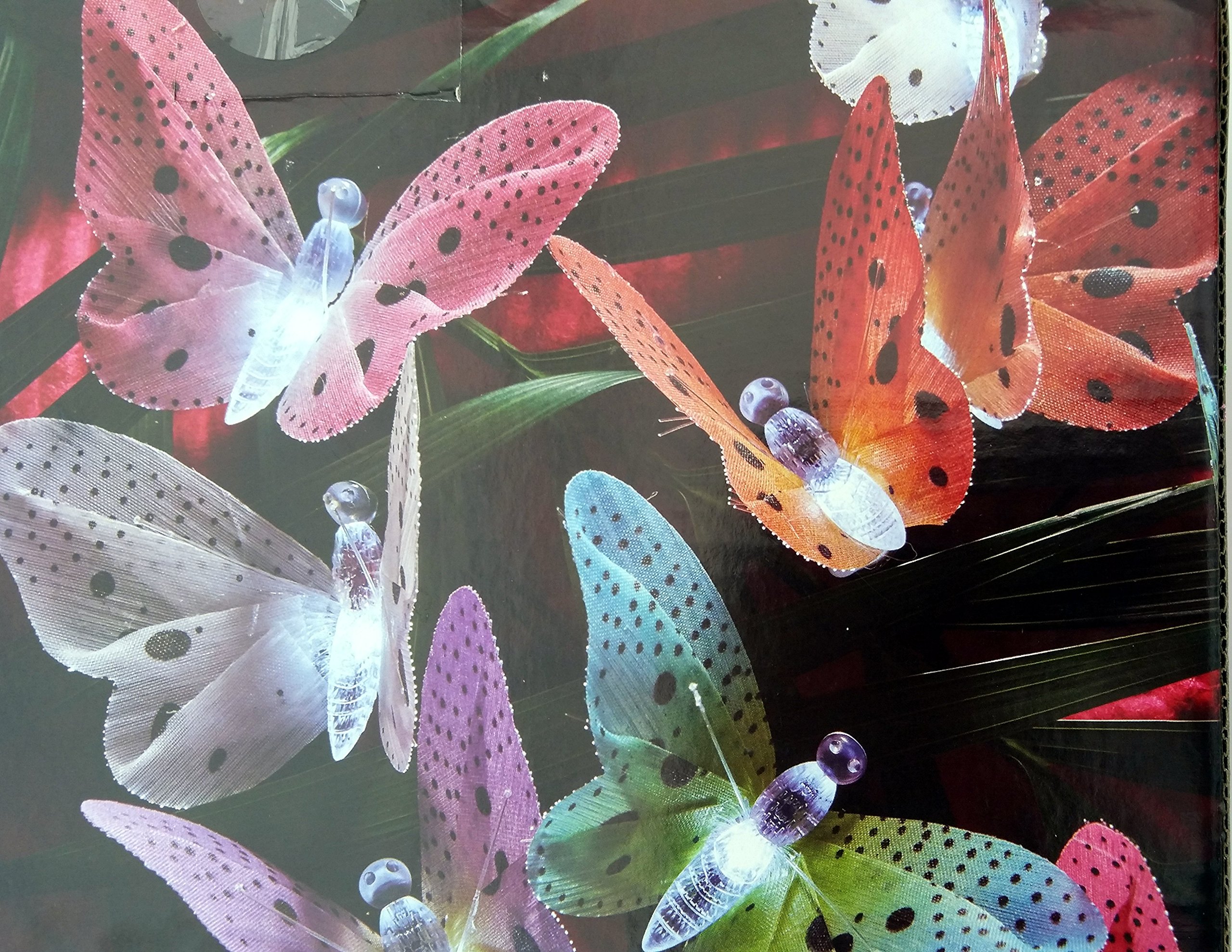 Buy Tropicool - 12 Solar Powered Fibre Optic Butterfly String Lights in ...