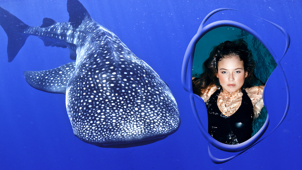 Whale Shark Photo Frames - App on Amazon Appstore