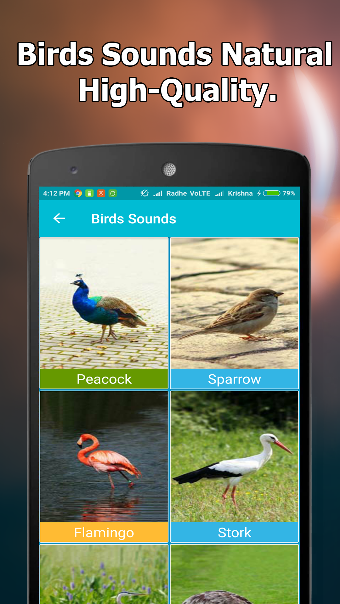 Animal and Bird Sounds Offline - App on Amazon Appstore
