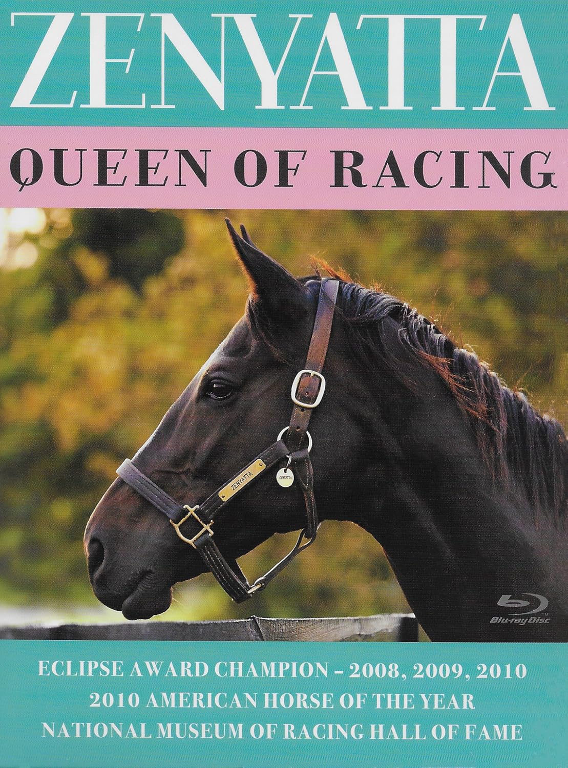 Amazon.com: Zenyatta: Queen of Racing : Edward Kip Hannan, Lisa Finnie ...