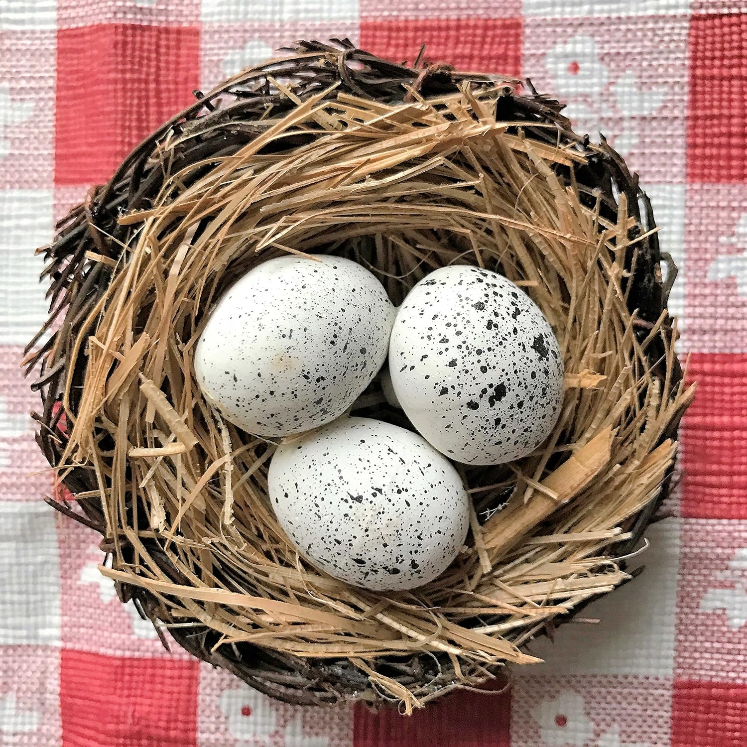 Amazon.com: Super Realistic Bird Nests with Brown and White Eggs, Multi ...