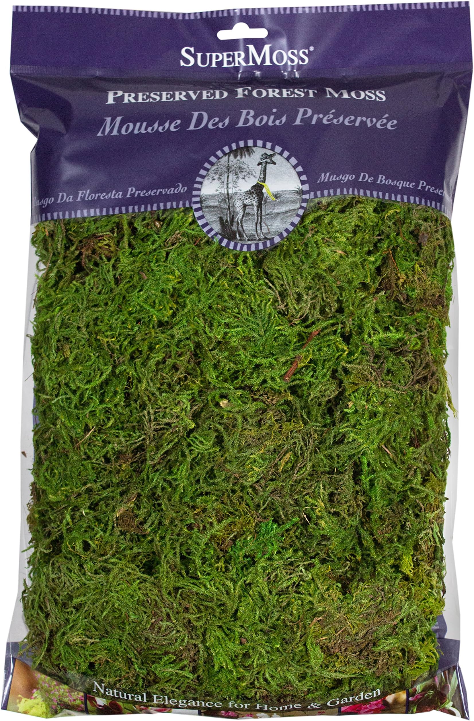 Amazon.com: Artificial Dried Forest Moss Fake Moss Preserved Green Moss ...