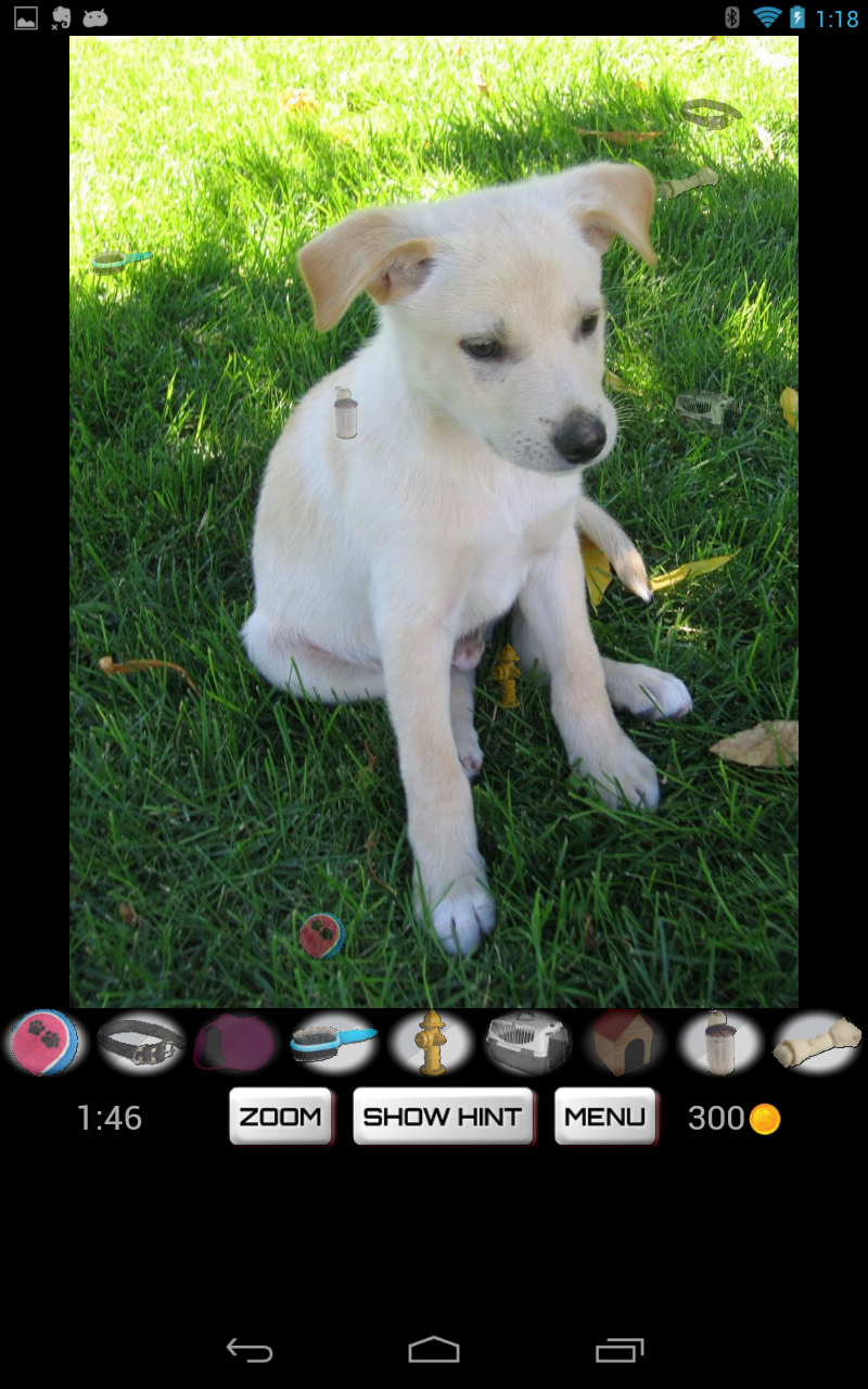 Hidden Object: Dogs - App on Amazon Appstore