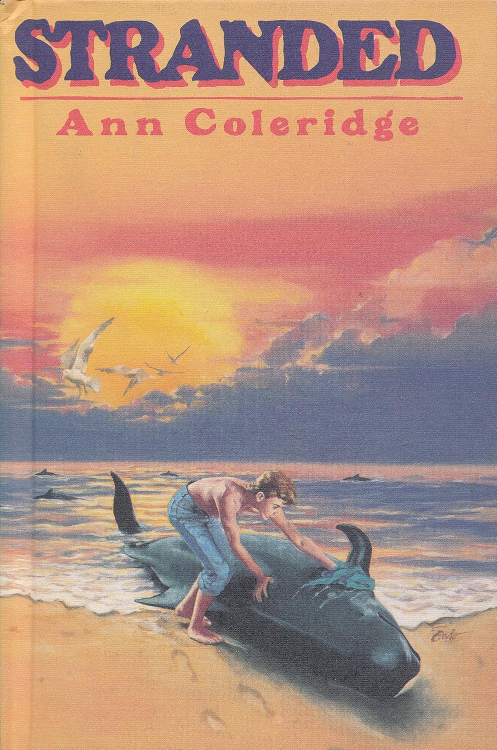 Stranded: Ann Coleridge, Eric David: 9780385298254: Amazon.com: Books