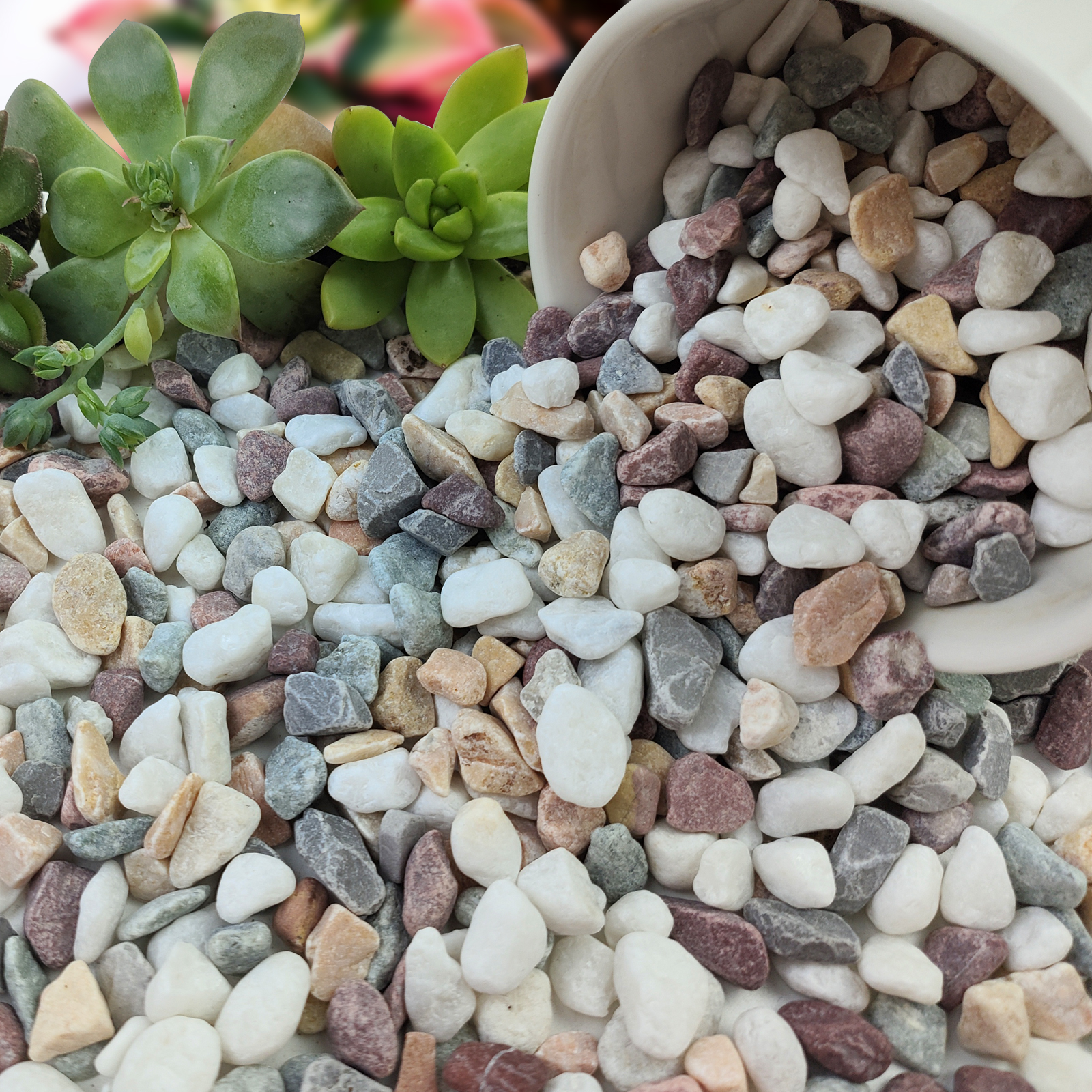 Decorative Stone Pea Pebbles Tumbled Pea Gravel Decorative River Rock