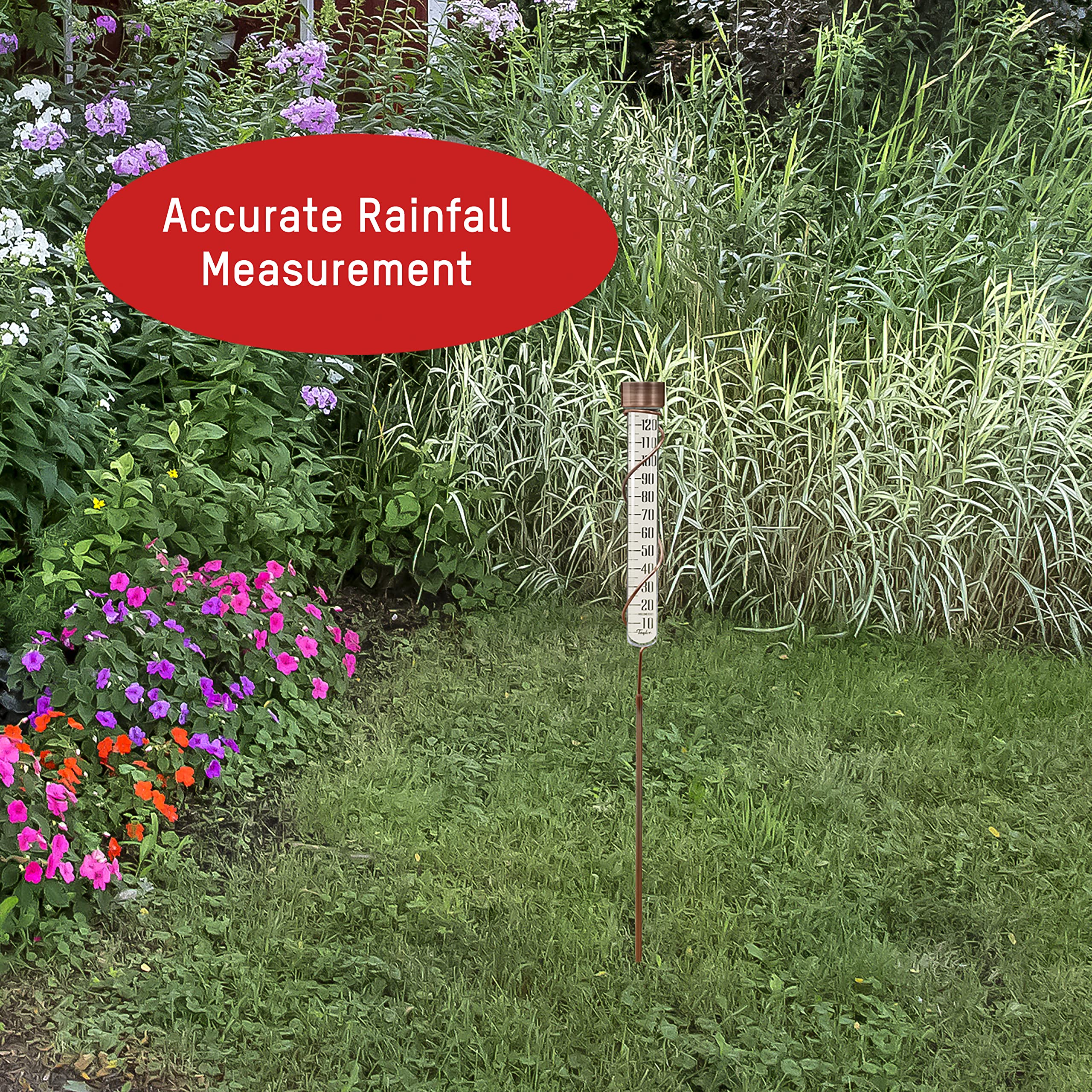 Snapklik.com : Heritage Collection Glass Rain Gauge, Measure And ...