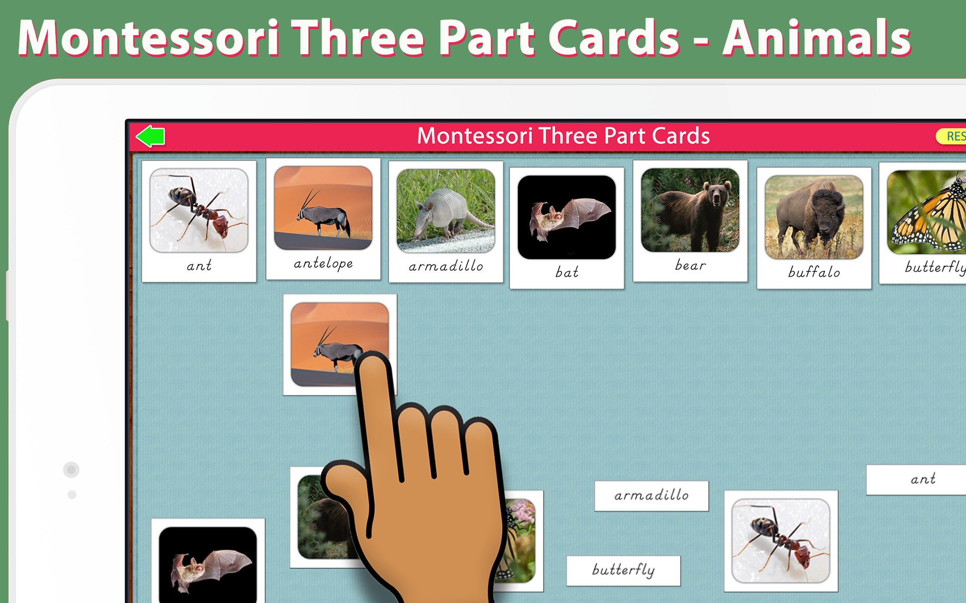 Montessori Three Part Card System - Animals - App on Amazon Appstore