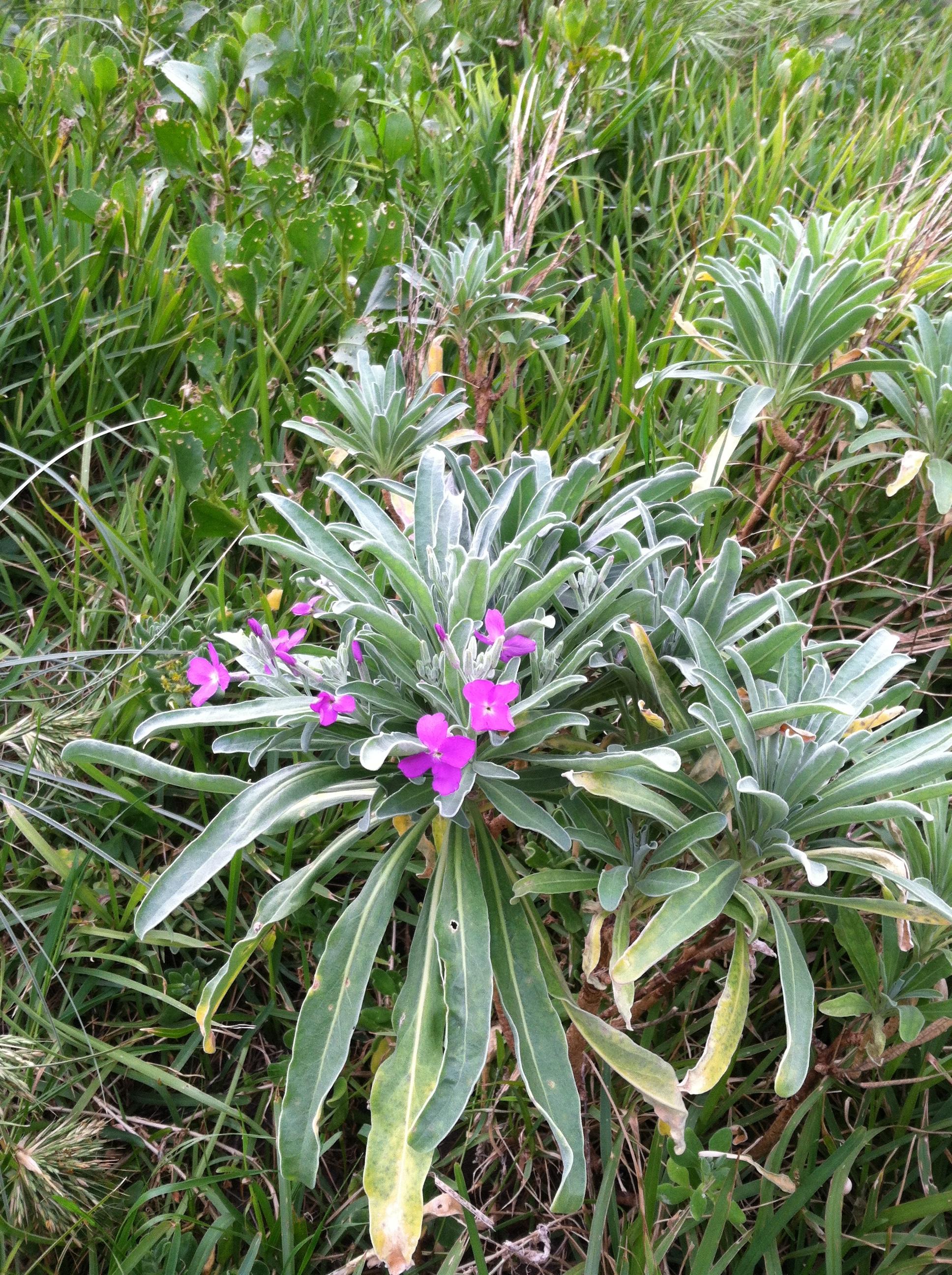 Amazon.co.uk: Maria Mata: books, biography, latest update