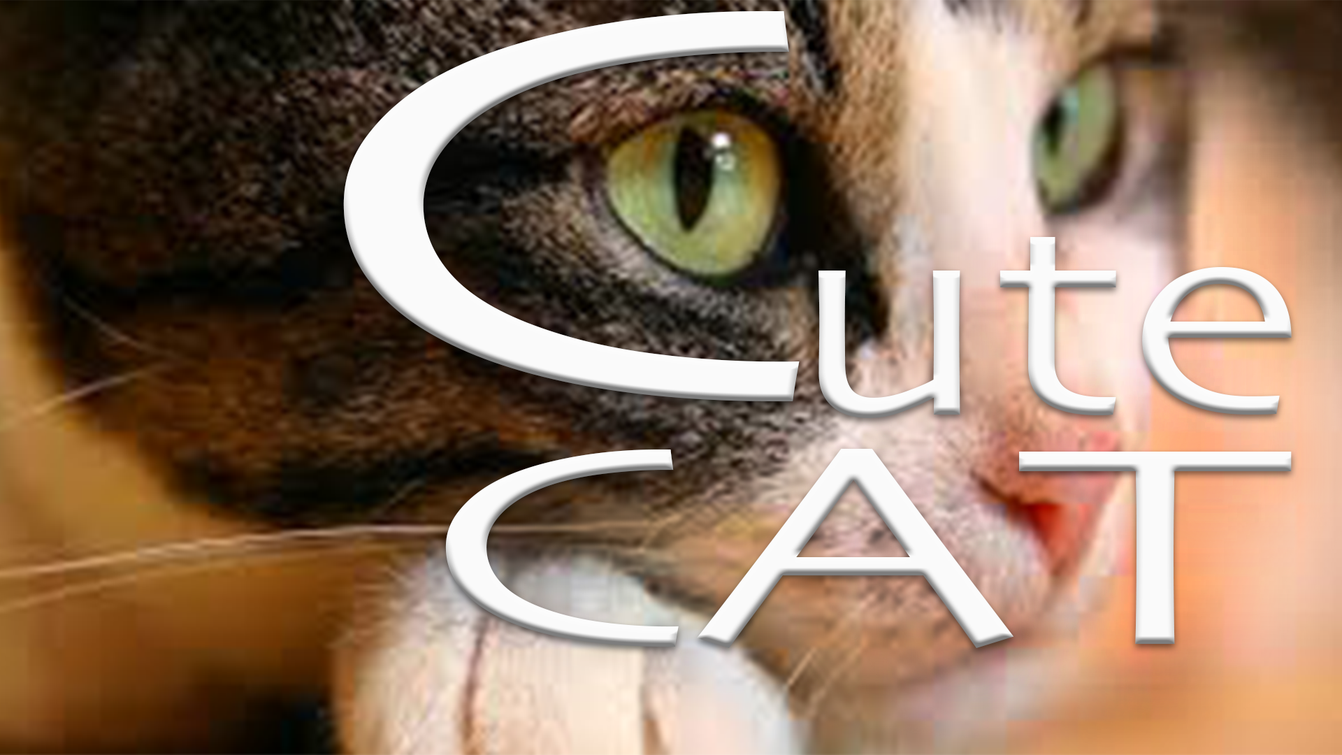 Cute Cat - App on Amazon Appstore