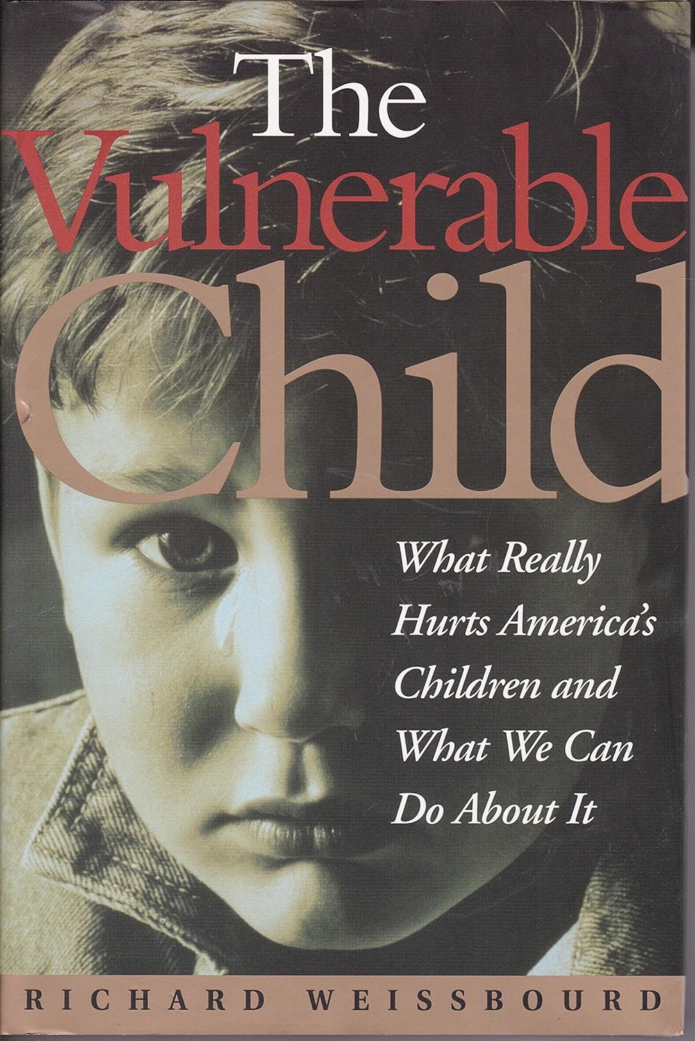 The Vulnerable Child: What Really Hurts America's Children And What We ...