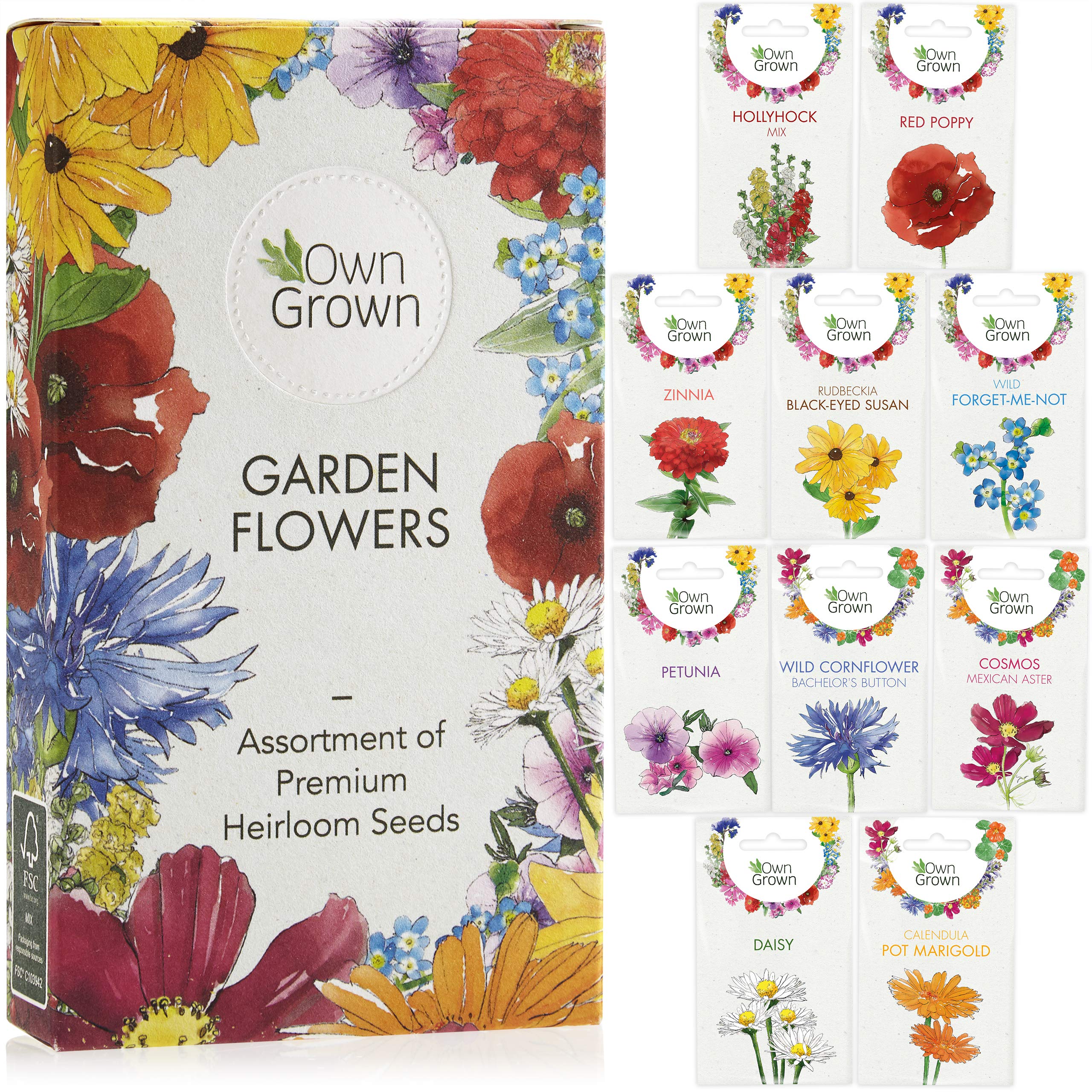 Buy Grow Your Own Flowers: Premium Garden and Balcony Flower Seeds Set ...