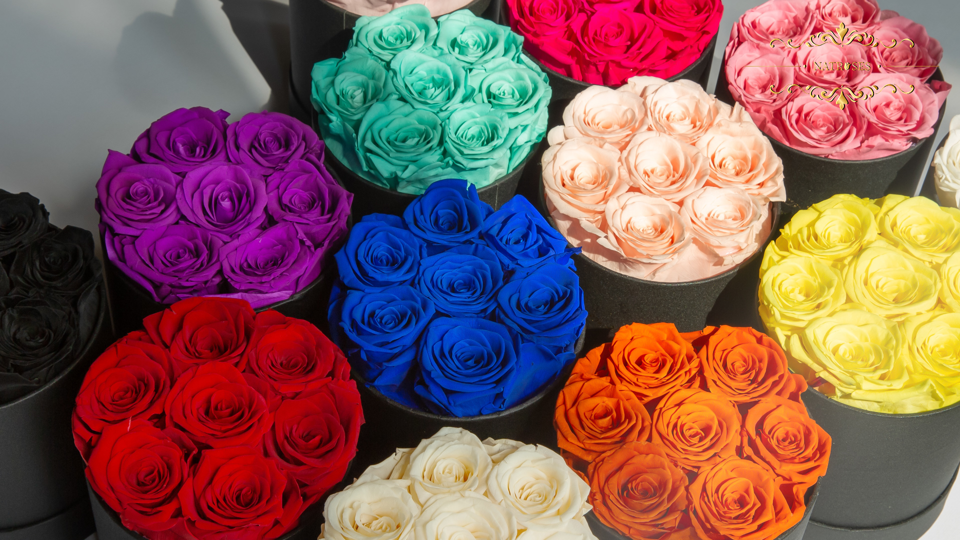 Watch NATROSES Forever Roses in a Round Box, Gifts for Her on Amazon Live