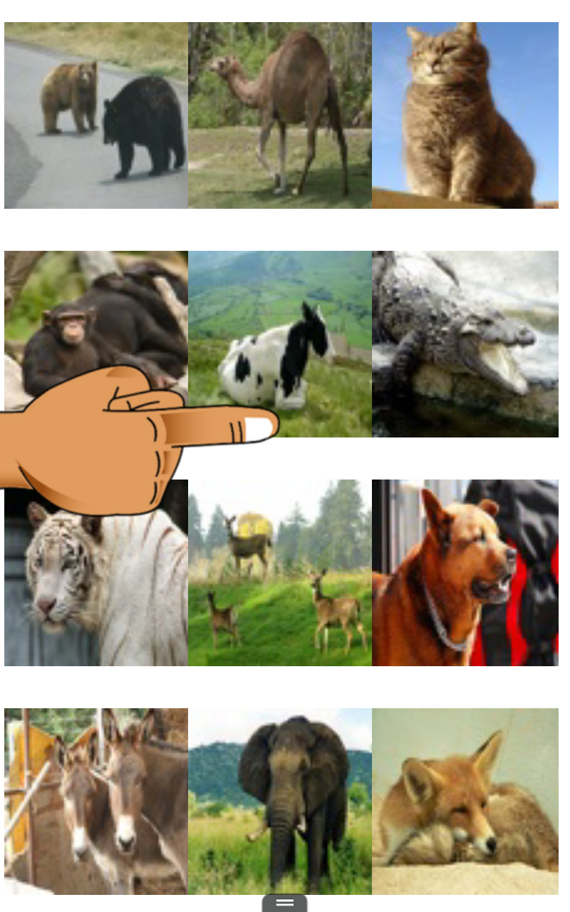 Animal Book - App on Amazon Appstore