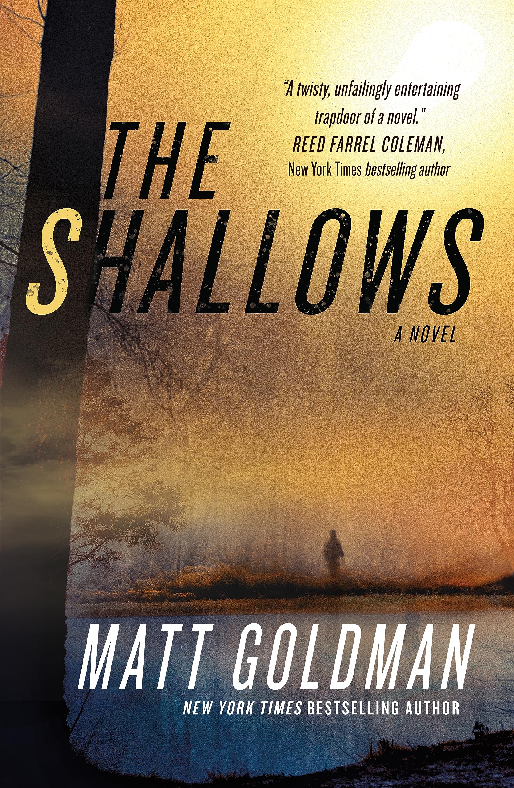 Amazon.com: The Shallows: A Nils Shapiro Novel (Nils Shapiro, 3 ...