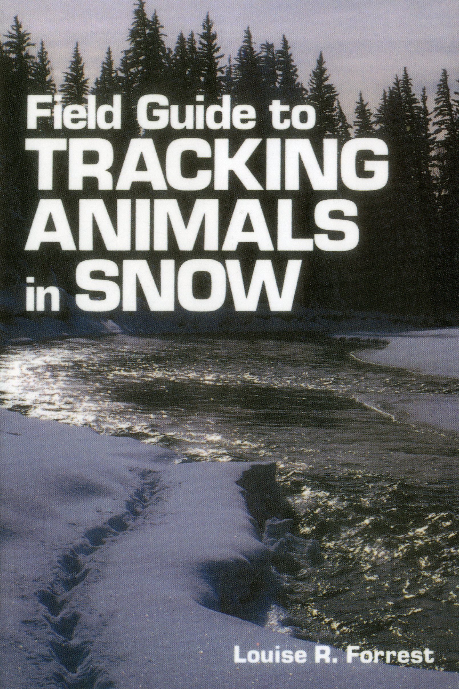 Field Guide to Tracking Animals in Snow: How to Identify and Decipher ...