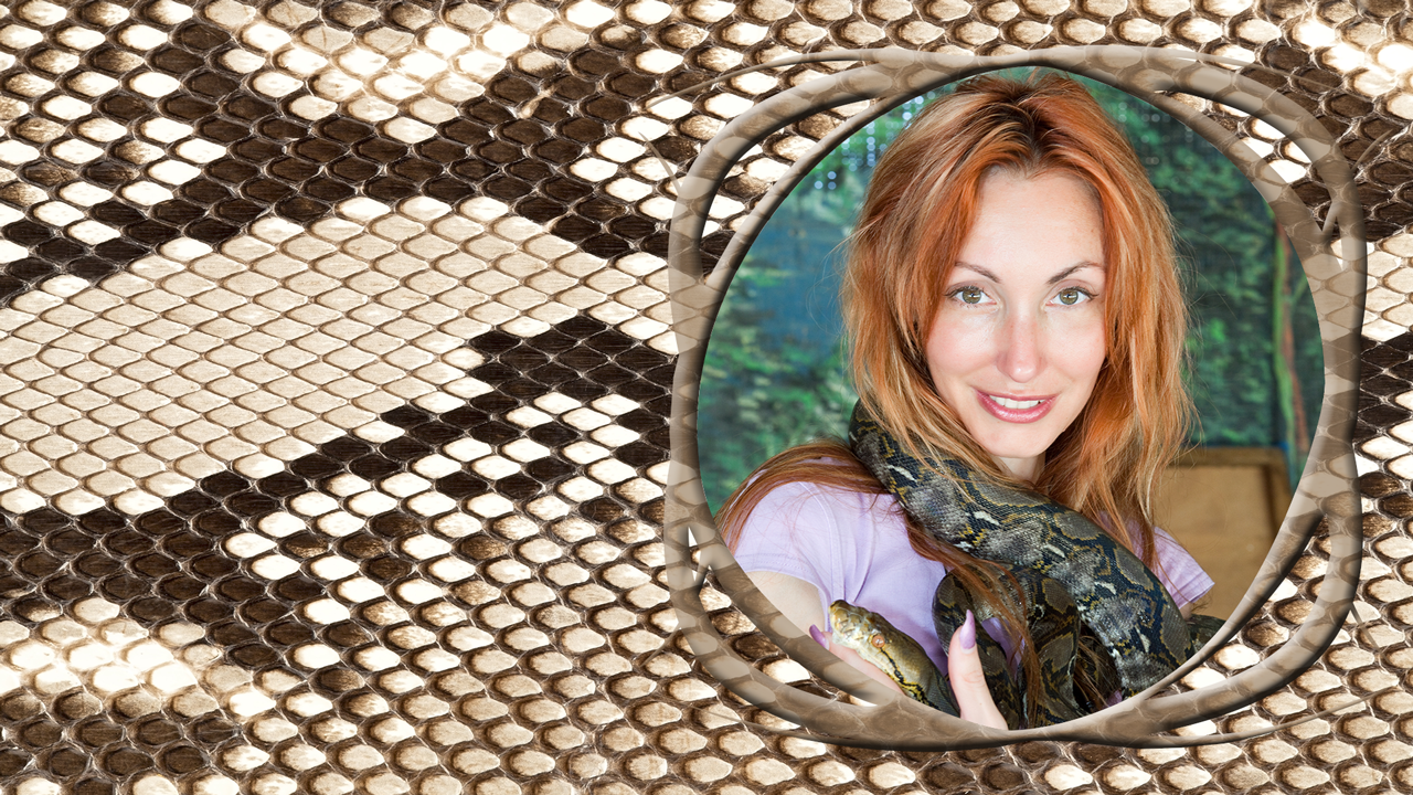 Snake Skin Photo Frames - App on Amazon Appstore
