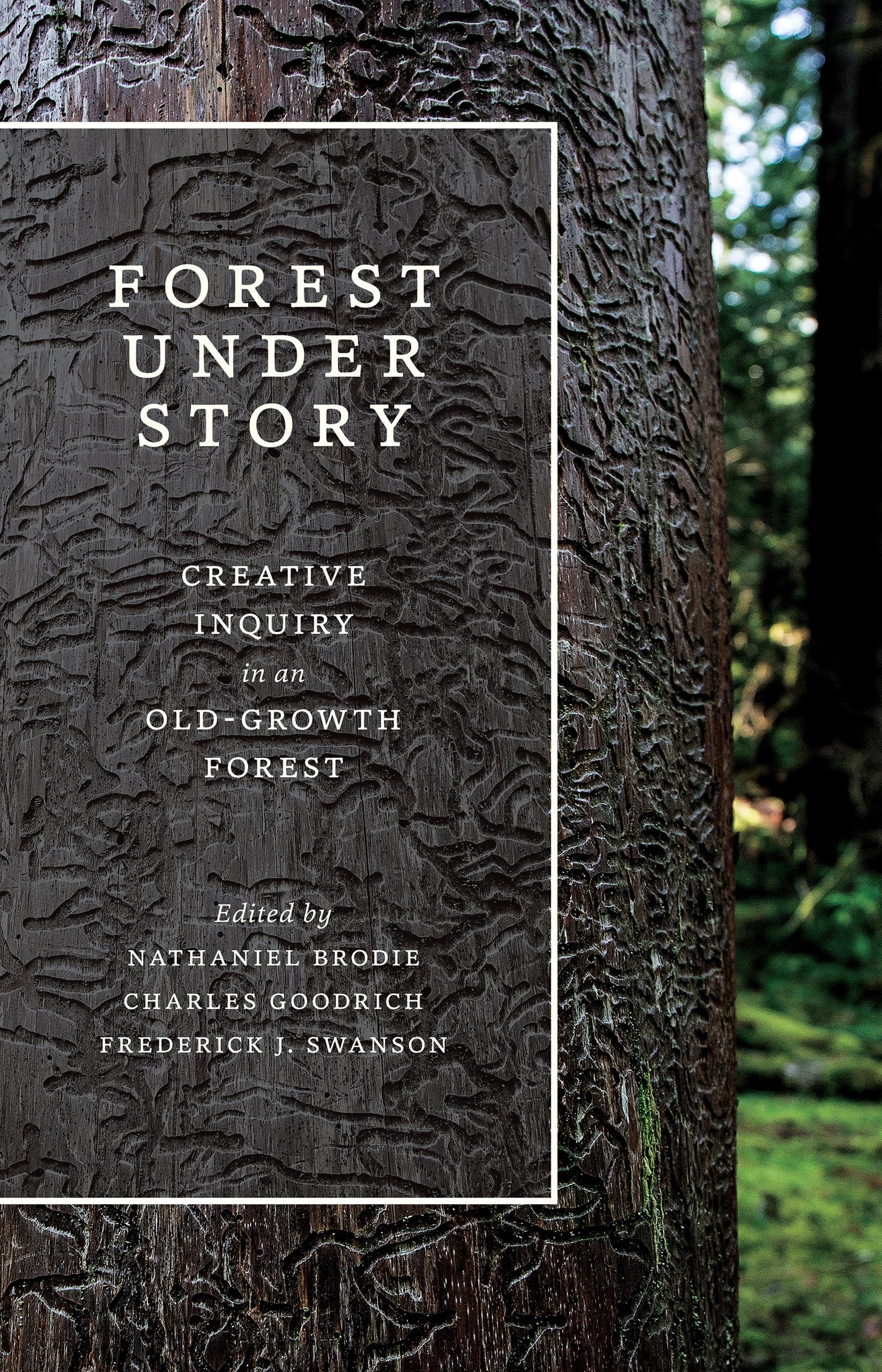 Forest Under Story: Creative Inquiry in an Old-Growth Forest (Ruth Kirk ...
