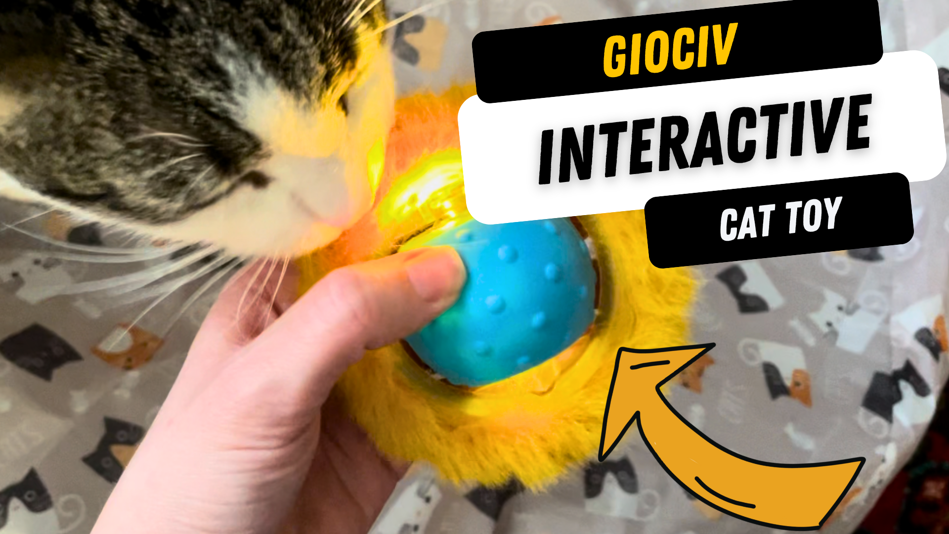 Watch WHAT YOU NEED TO KNOW about the Giociv Interactive Cat Toy!! on ...