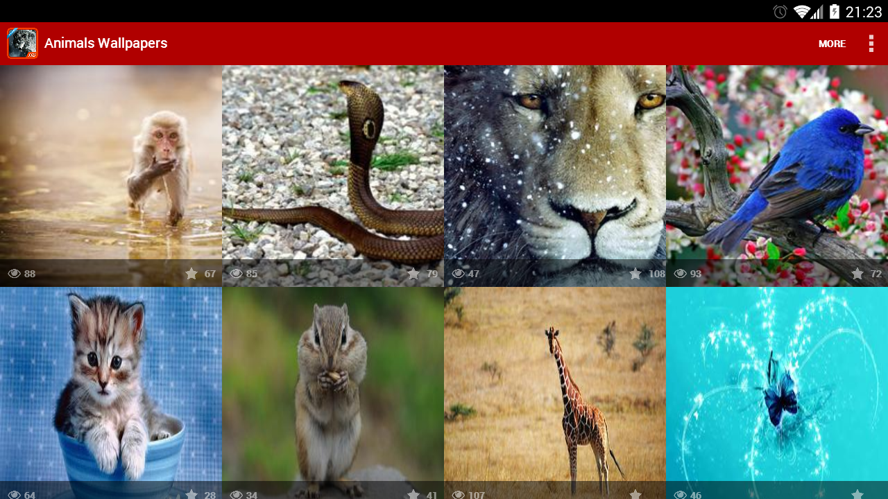 Animals Wallpapers - App on Amazon Appstore