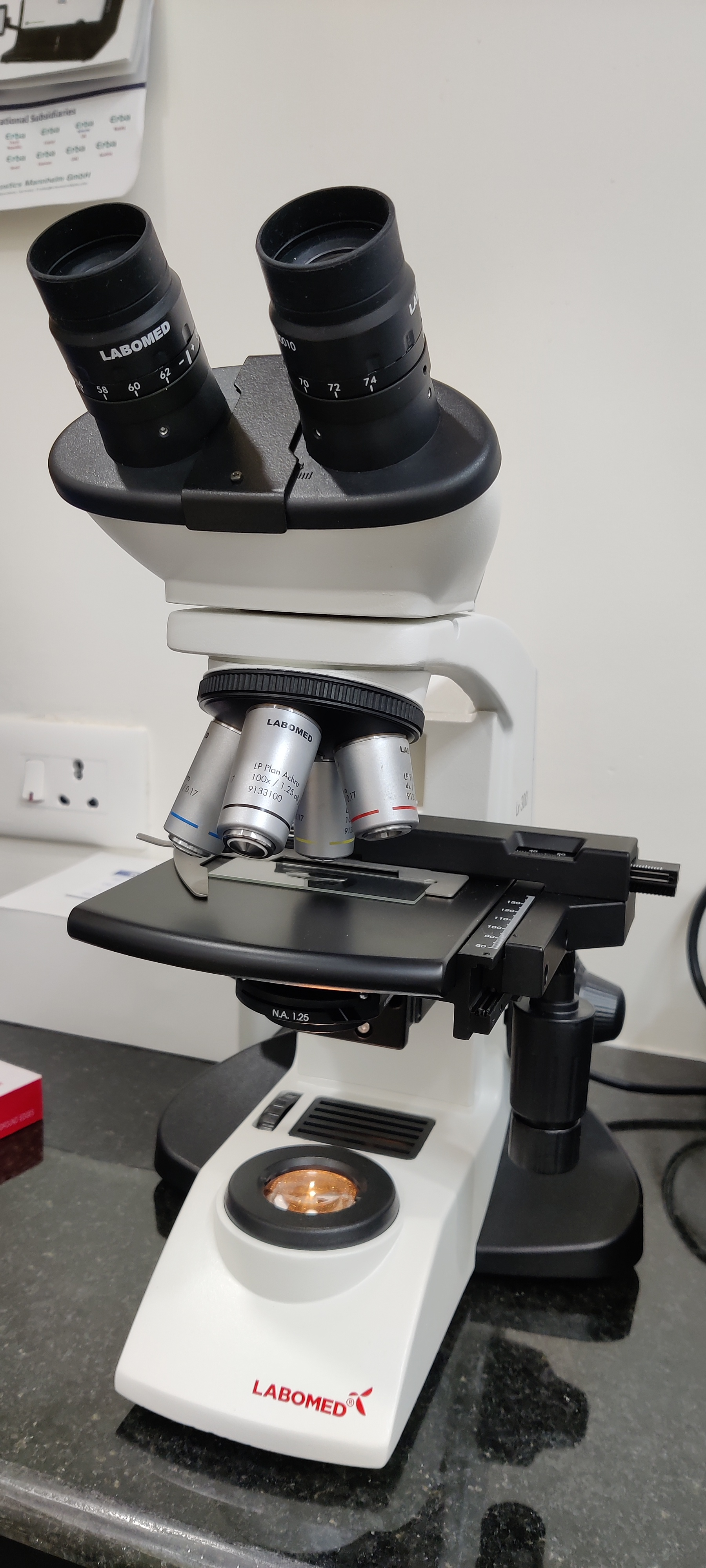 Labomed LX-300 Binocular Microscope, Illumination - Halogen - White ...