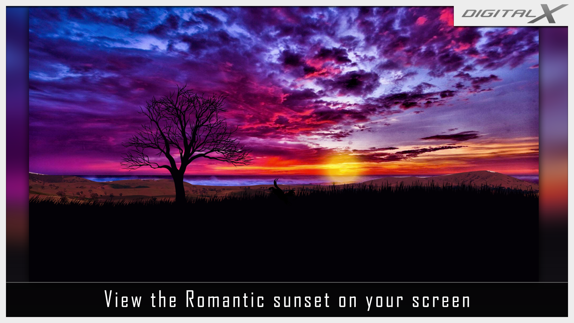 Animated Sun Rise Ambience - A Beautiful Morning Scene:www.amazon.com ...