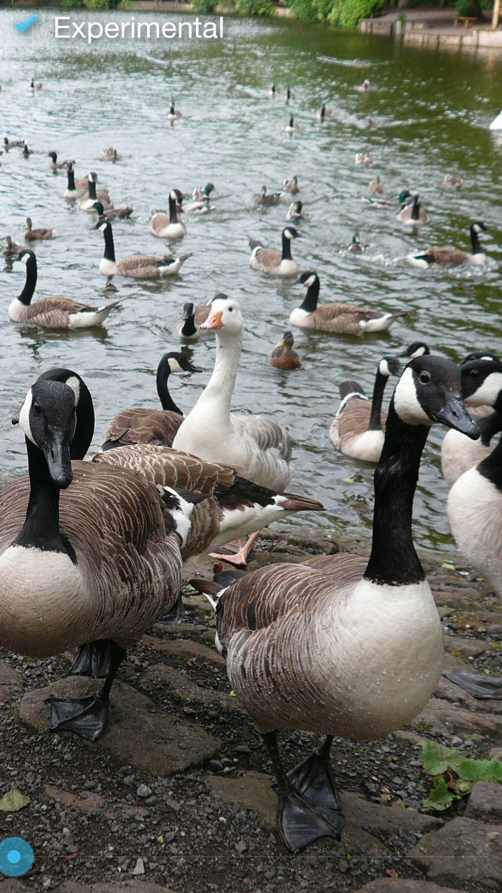 Telescope Zoomer - App on Amazon Appstore