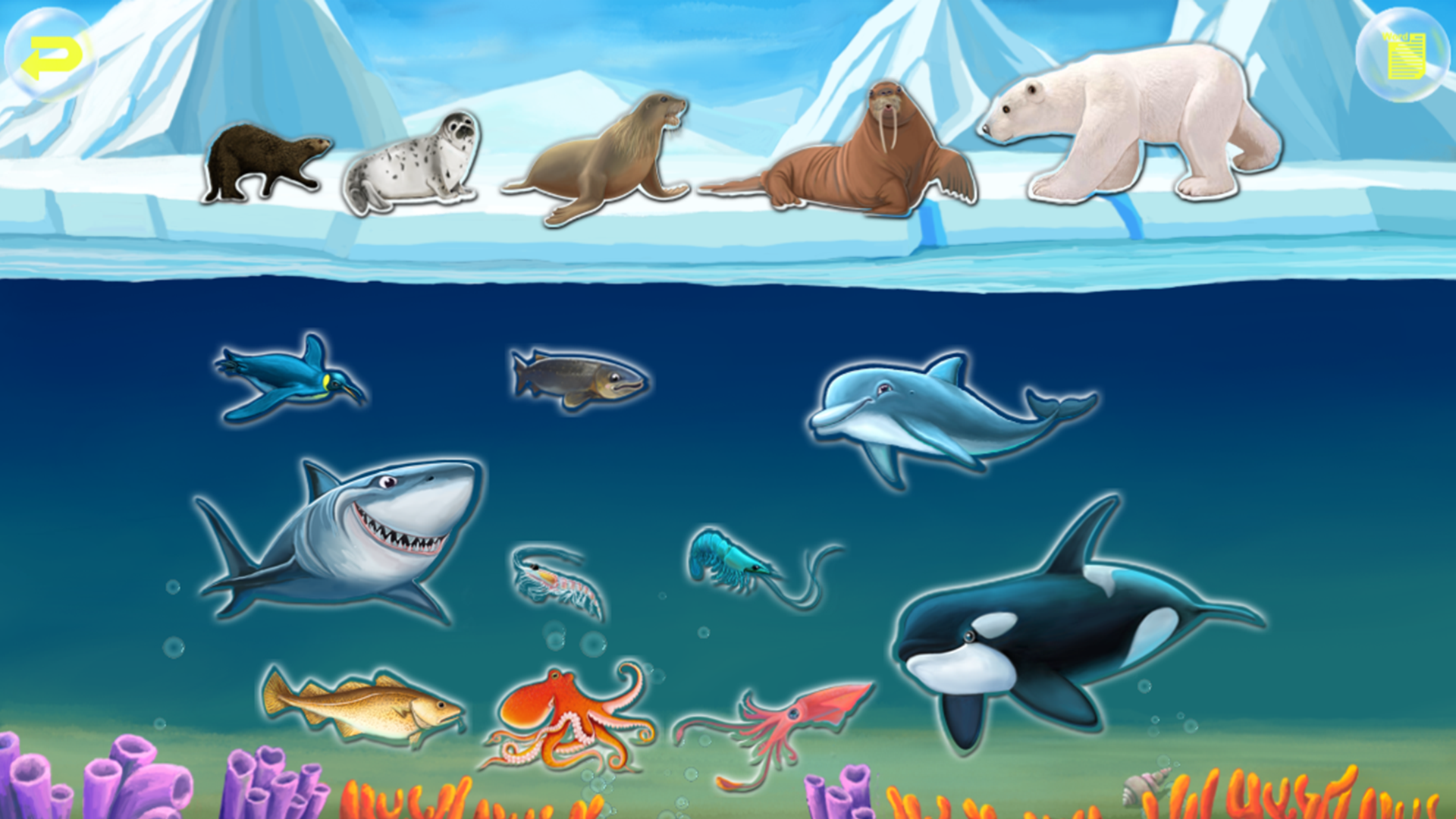 Amazing Ocean Animals- Educational Learning Apps for Kids Free:Amazon ...