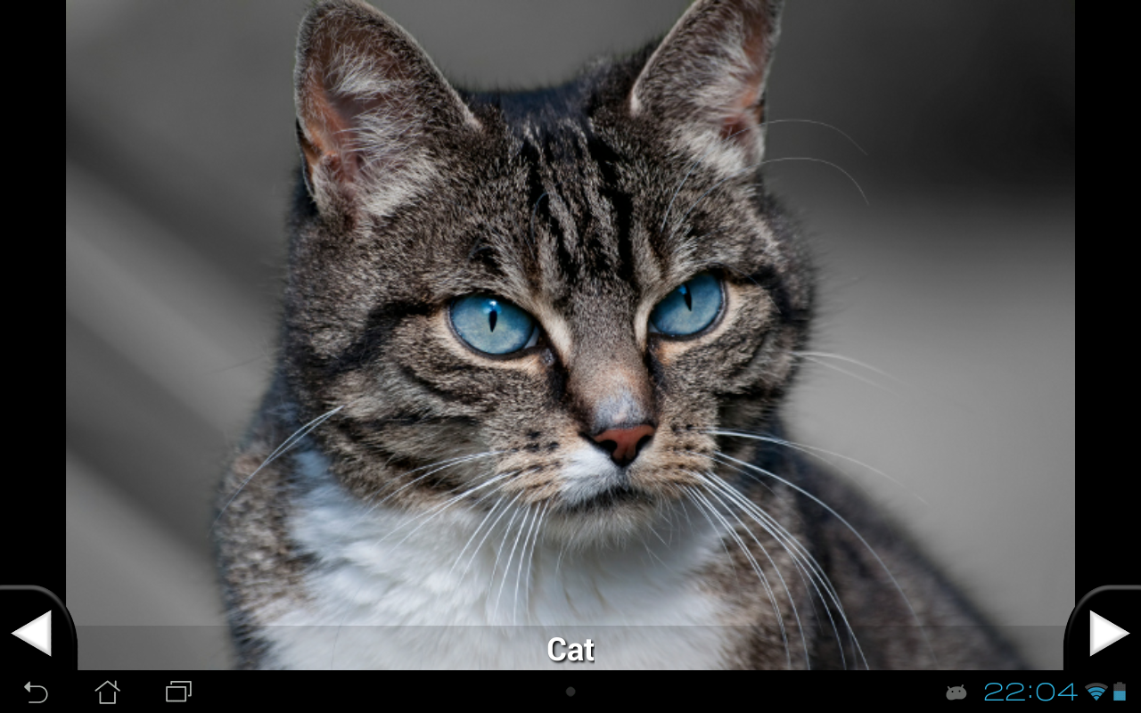 Toddler animal sounds - App on Amazon Appstore