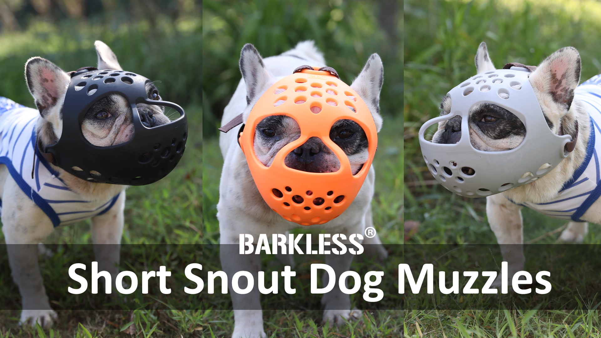 Watch BARKLESS Short Snout Dog Muzzles for Grooming and Training on ...