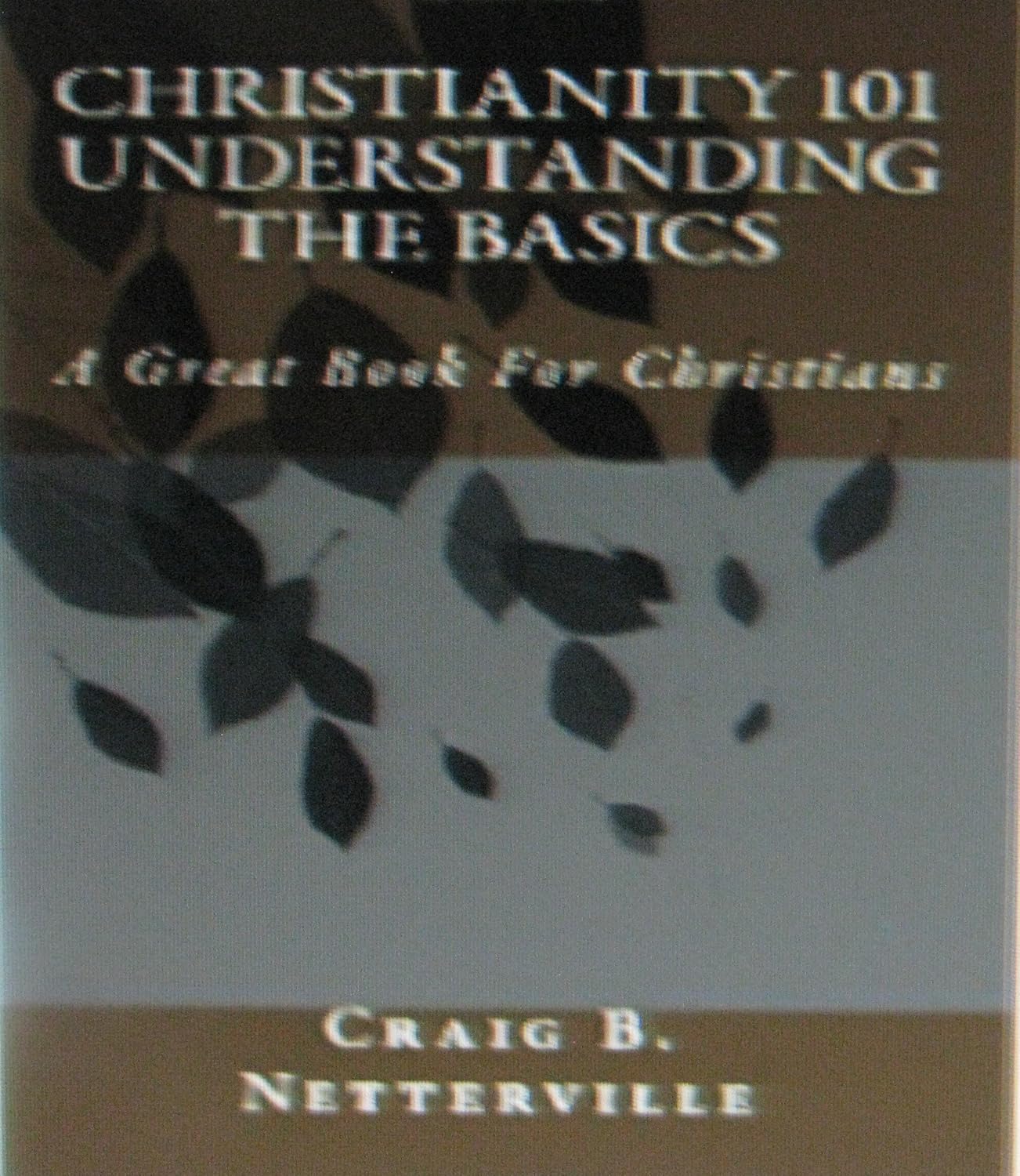 Christianity 101 Understanding the Basics - Kindle edition by ...