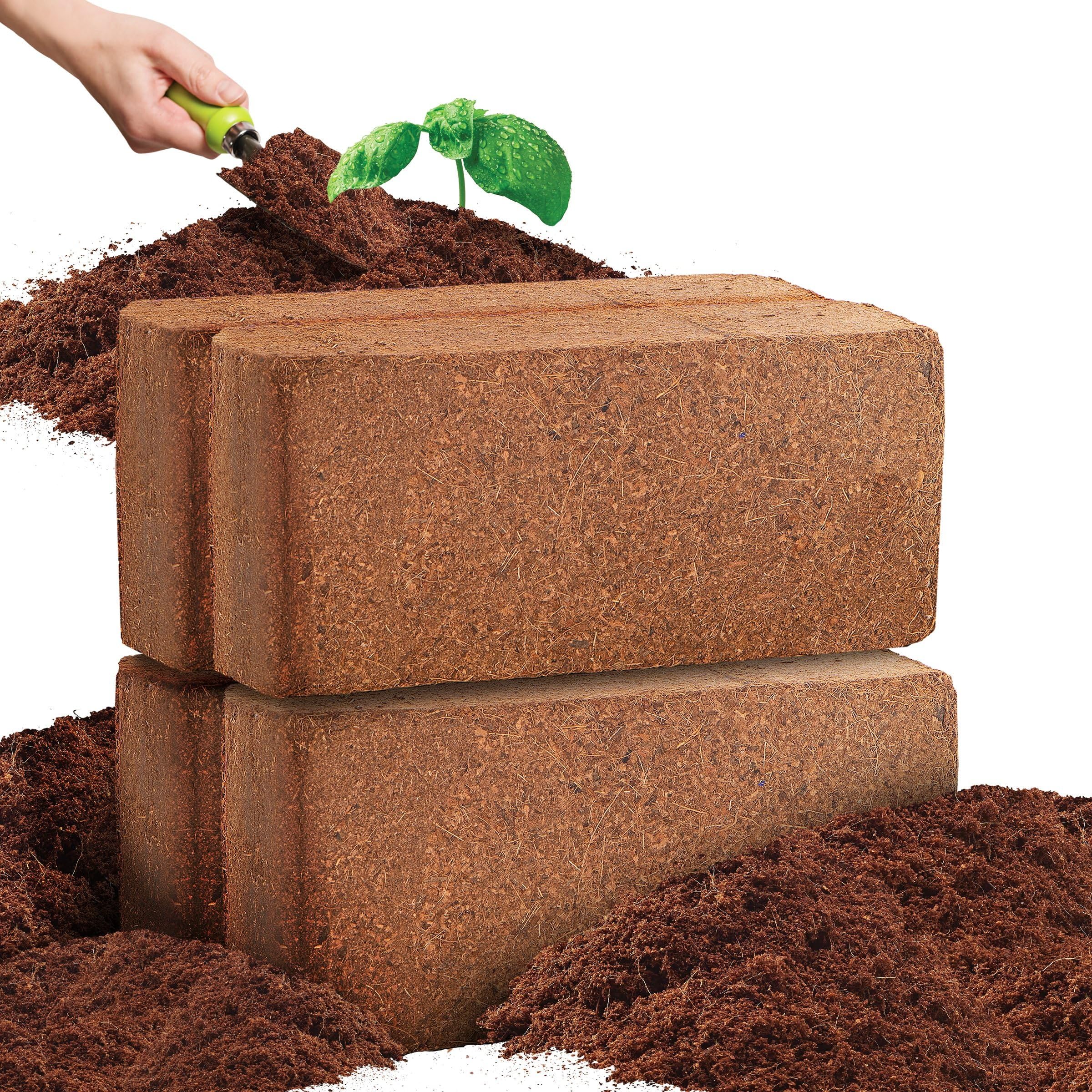 Amazon.com : DUSPRO RECYCLE 4Pack Premium Coco Coir Brick for Plants ...
