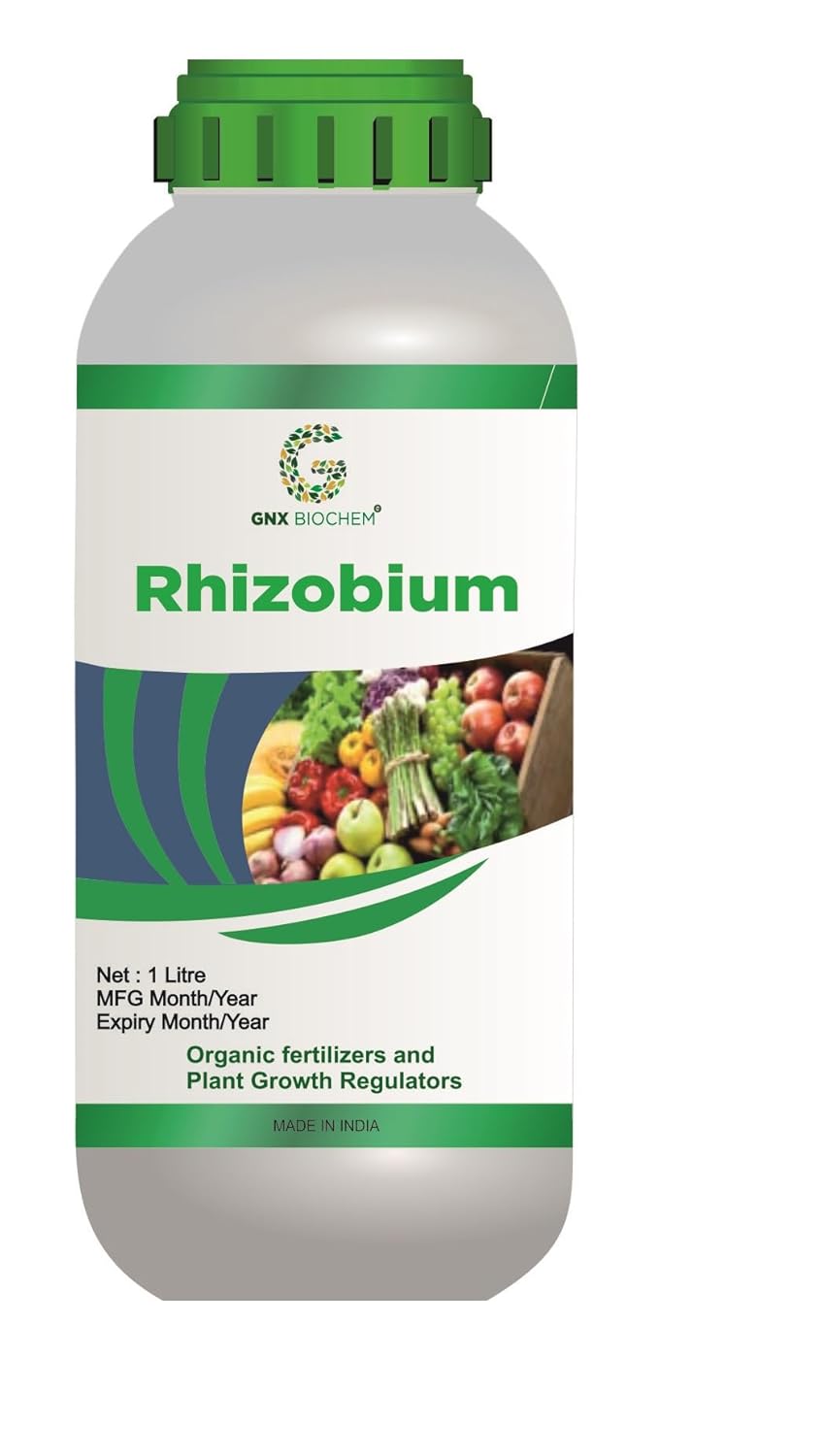 GNXBIOCHEM Rhizobium Organic Liquid Bio Fertilizer For Safe Planting ...