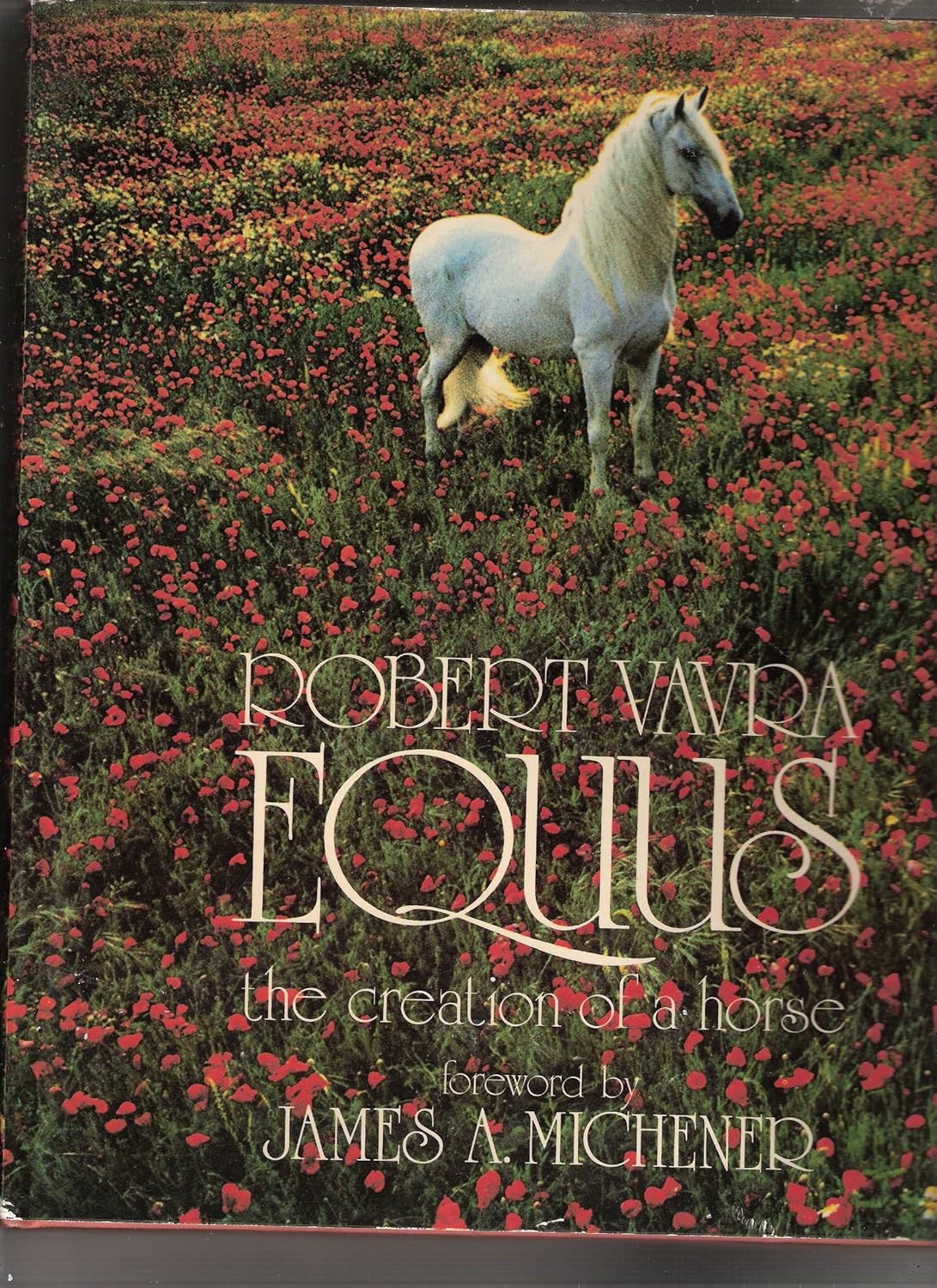 Equus: The Creation of a Horse: Vavra, Robert: 9780688032395: Amazon ...