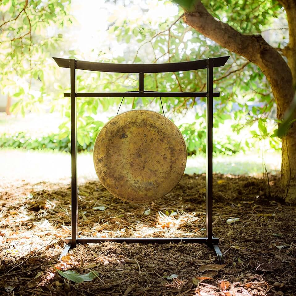 Amazon.com: japanese gong