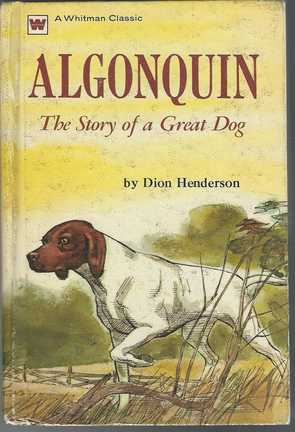 ALGONQUIN: The Story of a Great Dog, 1st Edition: Dion Henderson, David ...