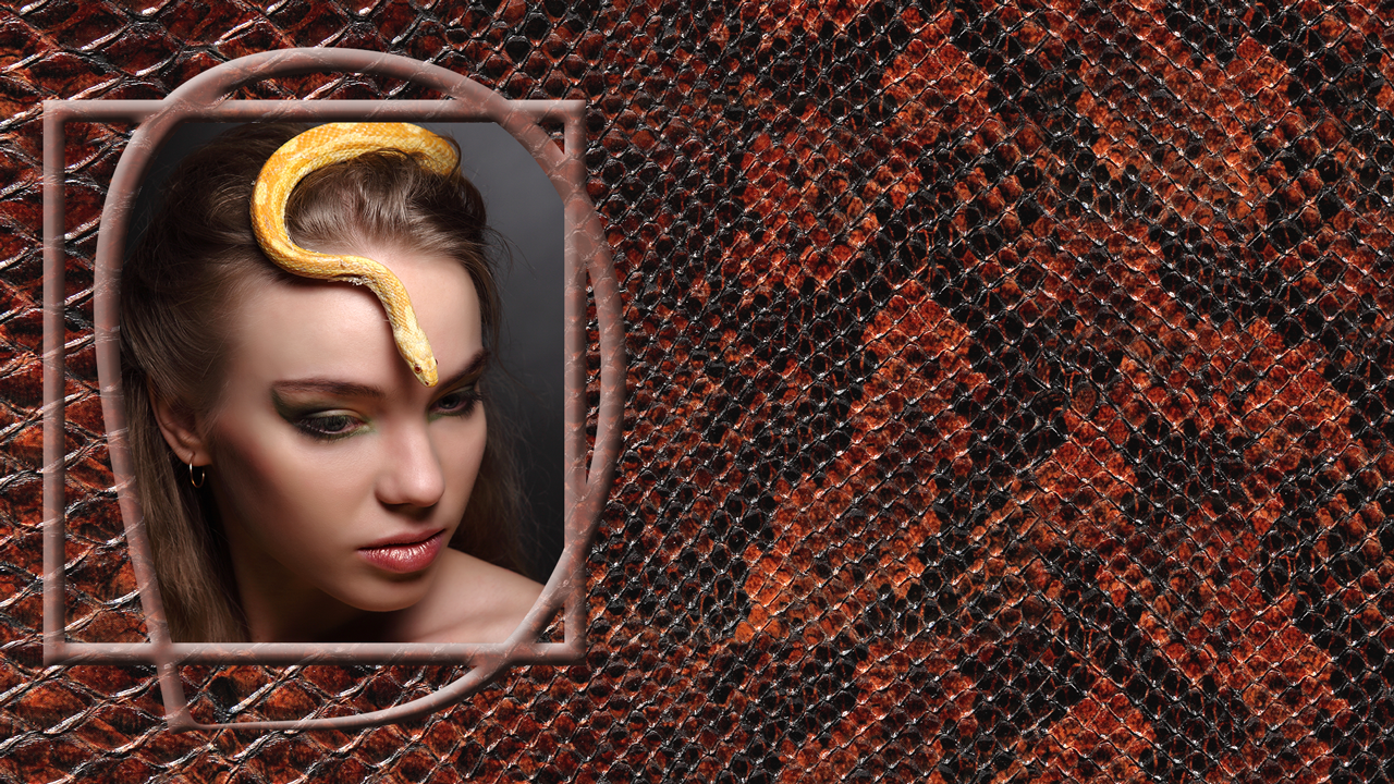 Snake Skin Photo Frames - App on Amazon Appstore