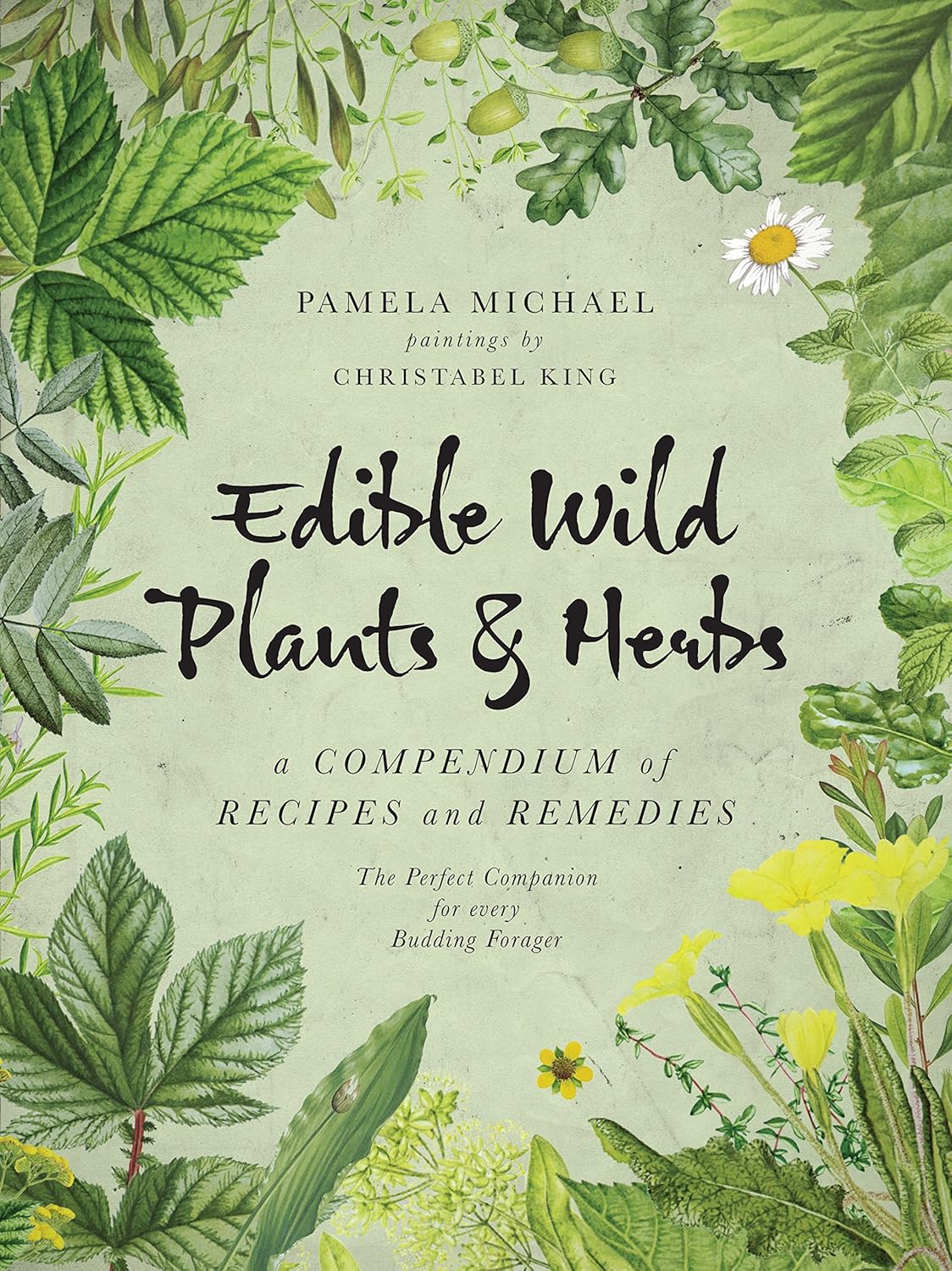 Amazon | Edible Wild Plants & Herbs: A Compendium of Recipes and ...