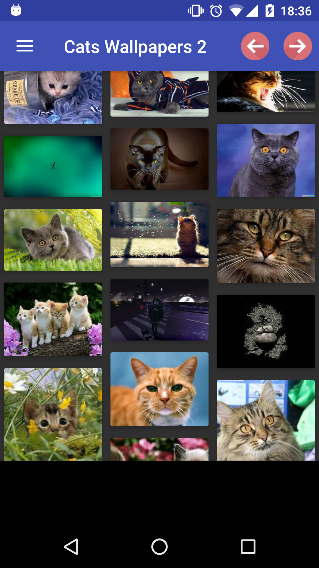 Cats Wallpapers - App on Amazon Appstore